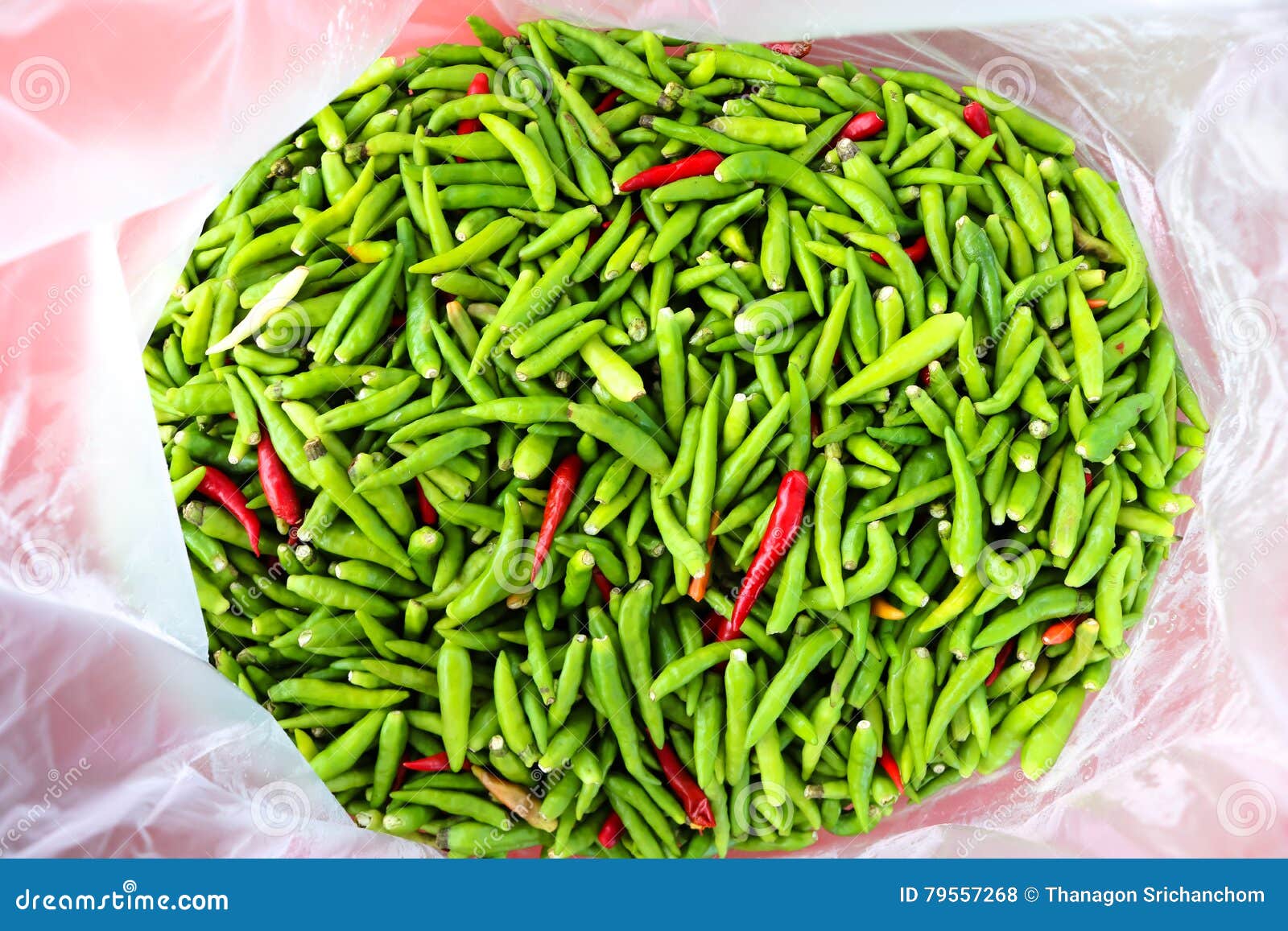 Chilli in a plastic bag. stock photo. Image of mexican - 79557268