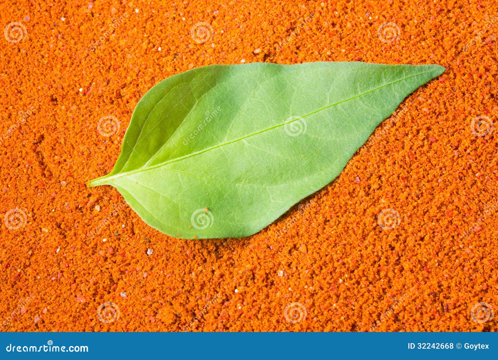 Chilli powder stock photo. Image of leaf, food, korean - 32242668