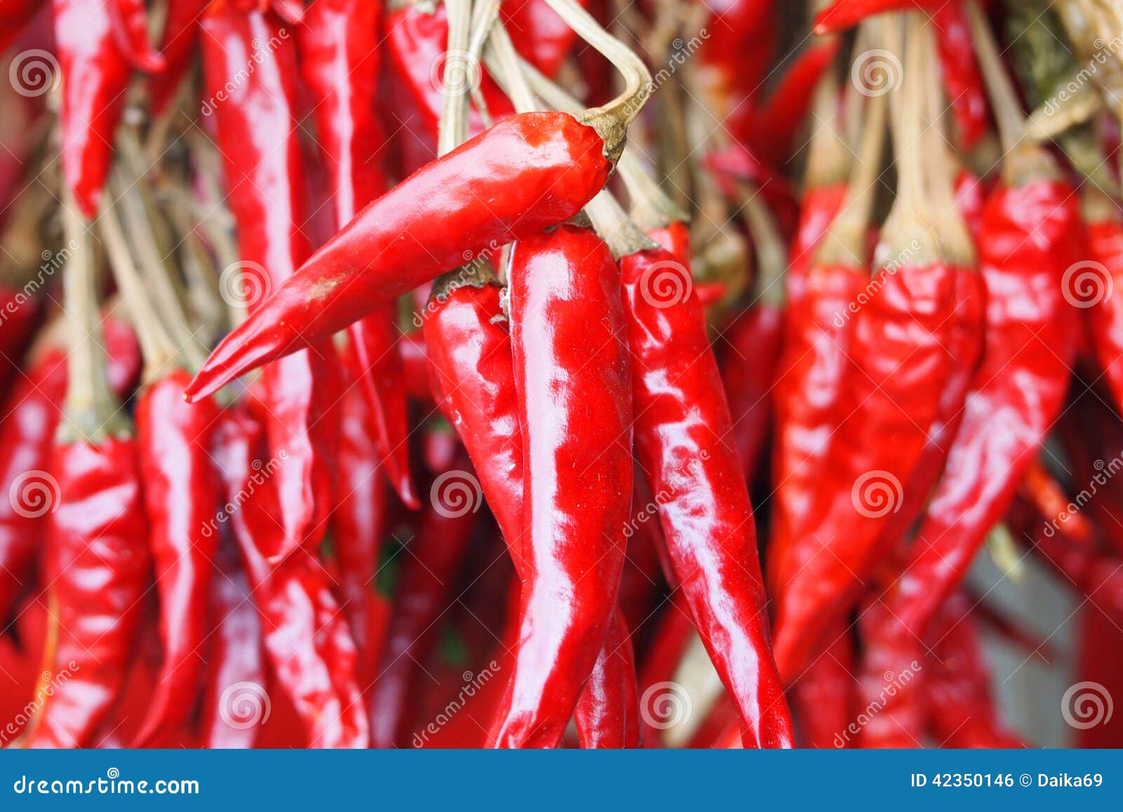 Chilli red stock photo. Image of macro, capsicum, pile - 42350146
