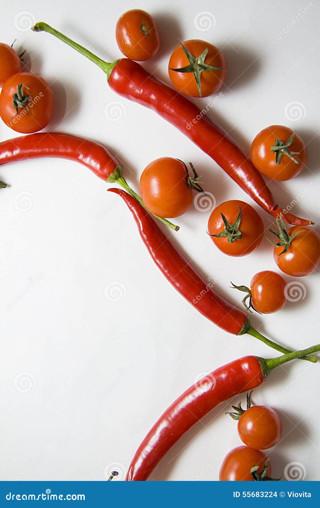 Chilli with tomatoes stock photo. Image of plenty, copy - 55683224