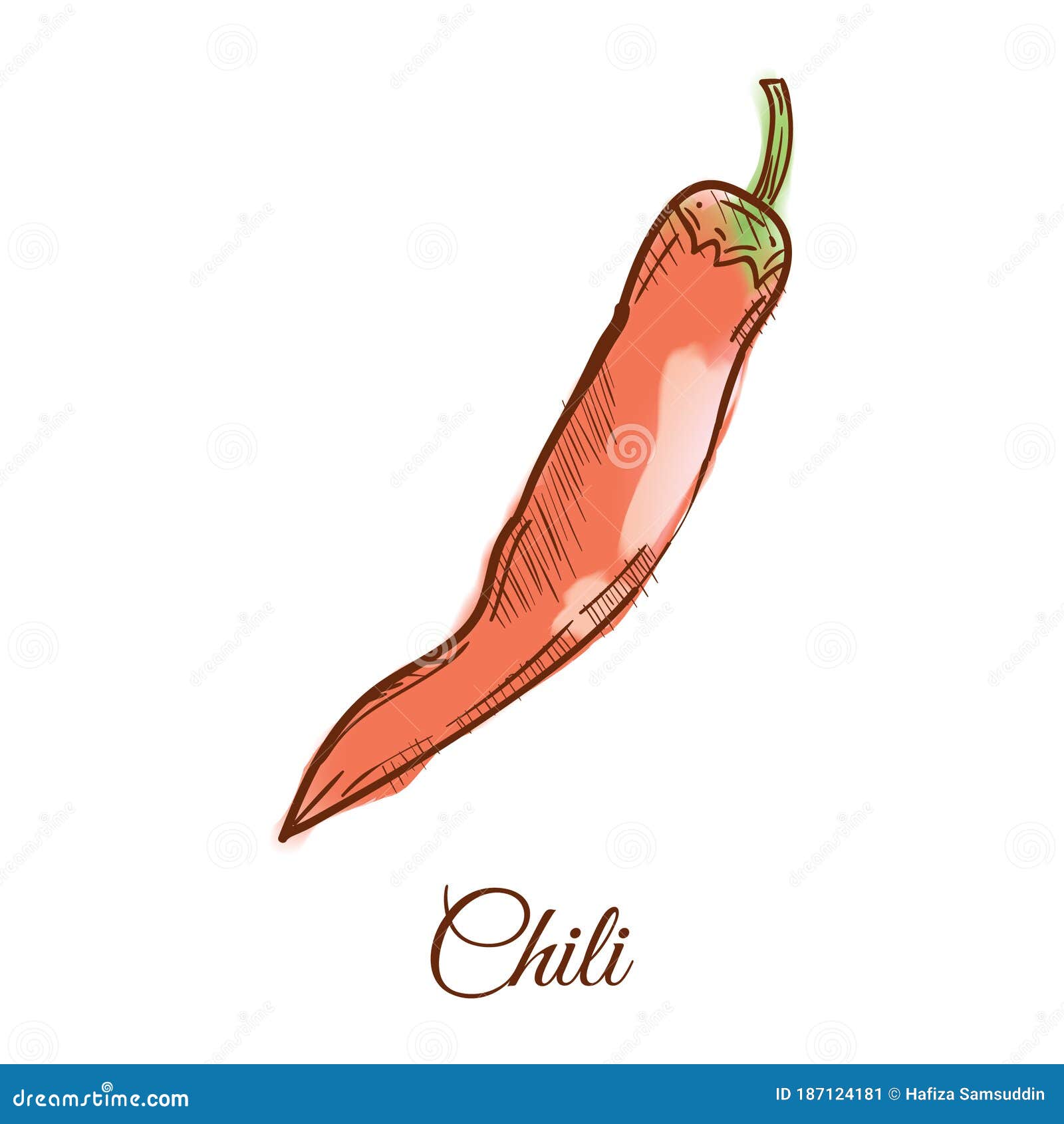 Chilli. Vector Illustration Decorative Design Stock Vector ...