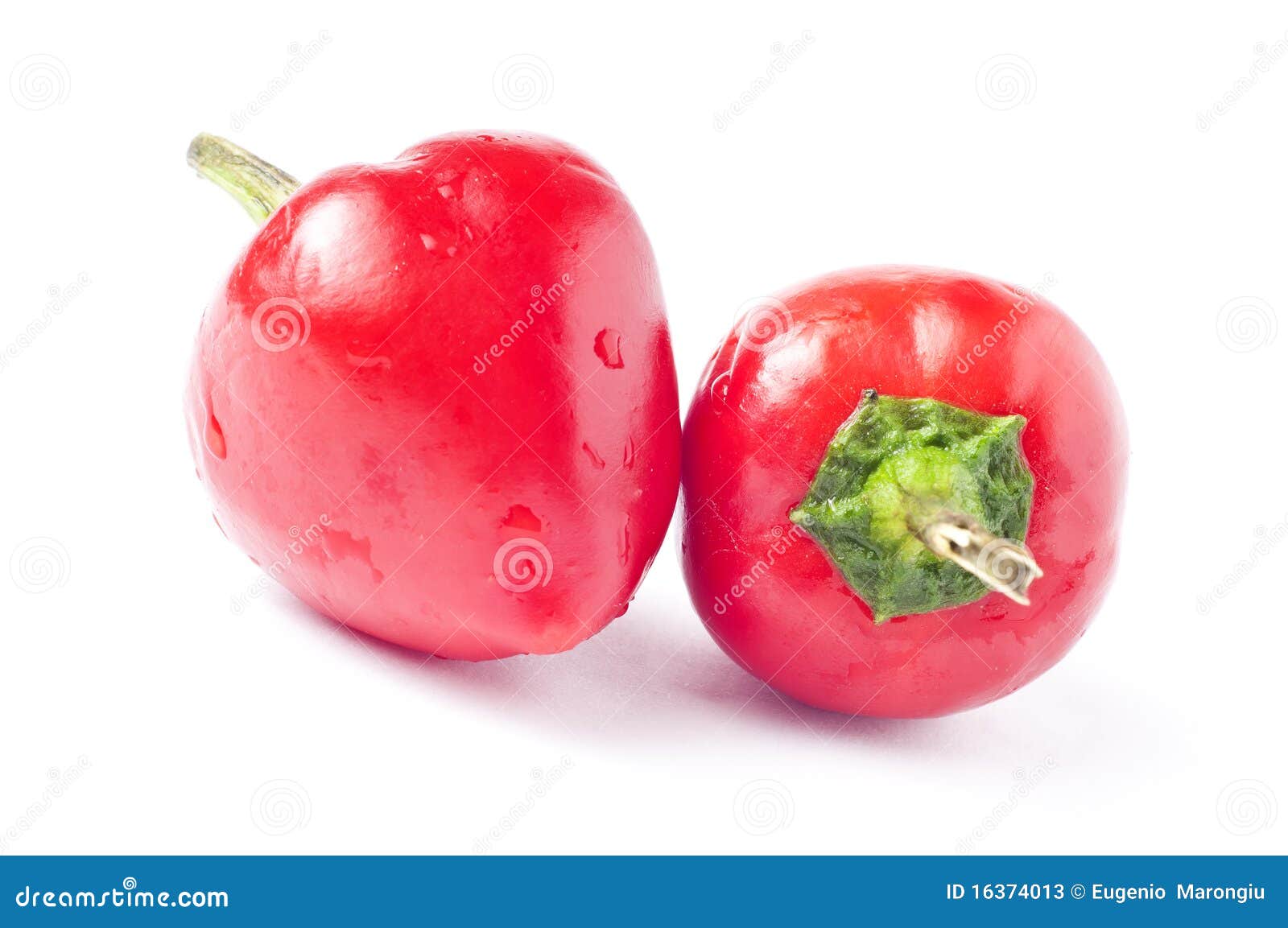 Chilli on white background stock image. Image of food - 16374013