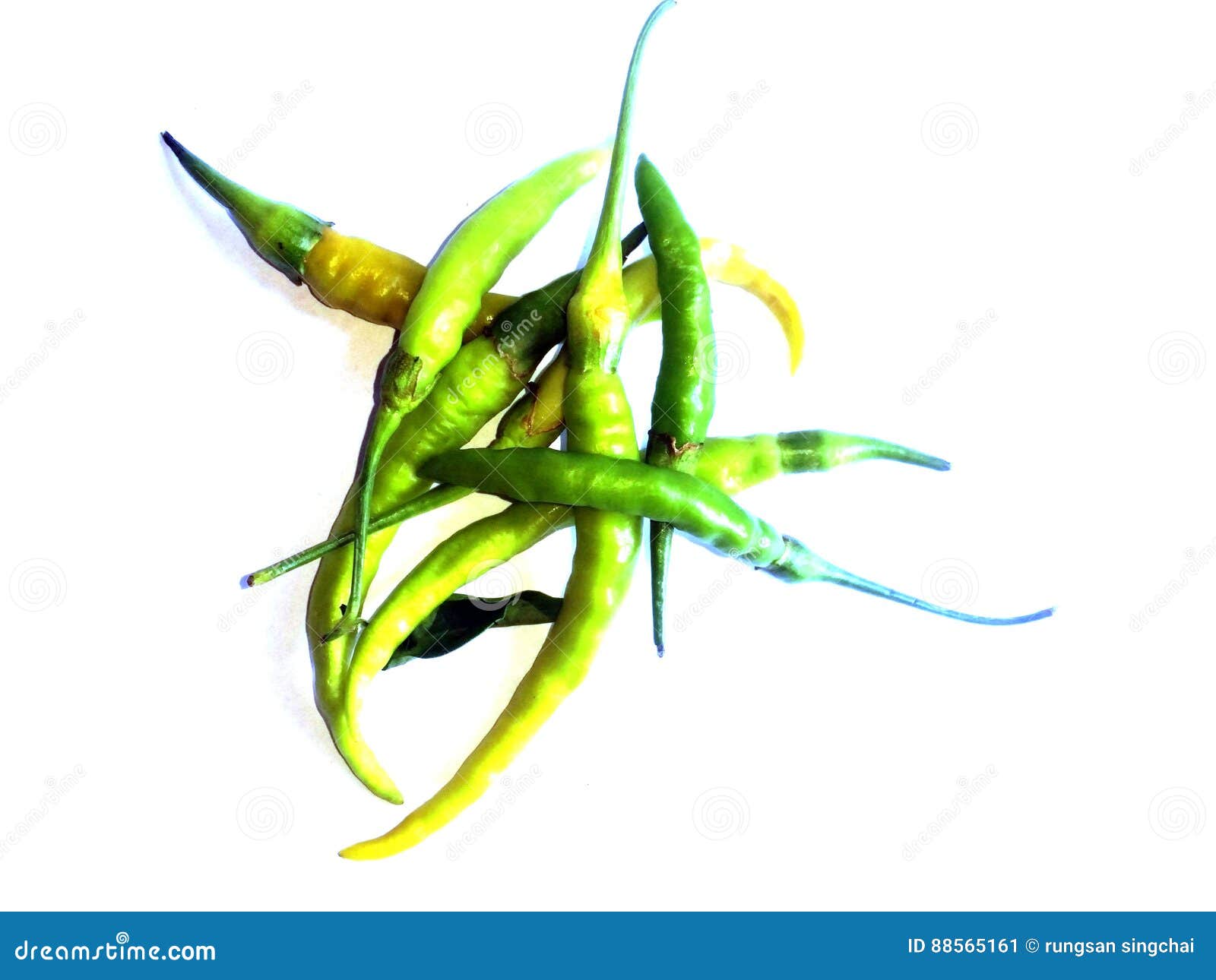 Chilli And White Background Stock Image | CartoonDealer.com #88565161