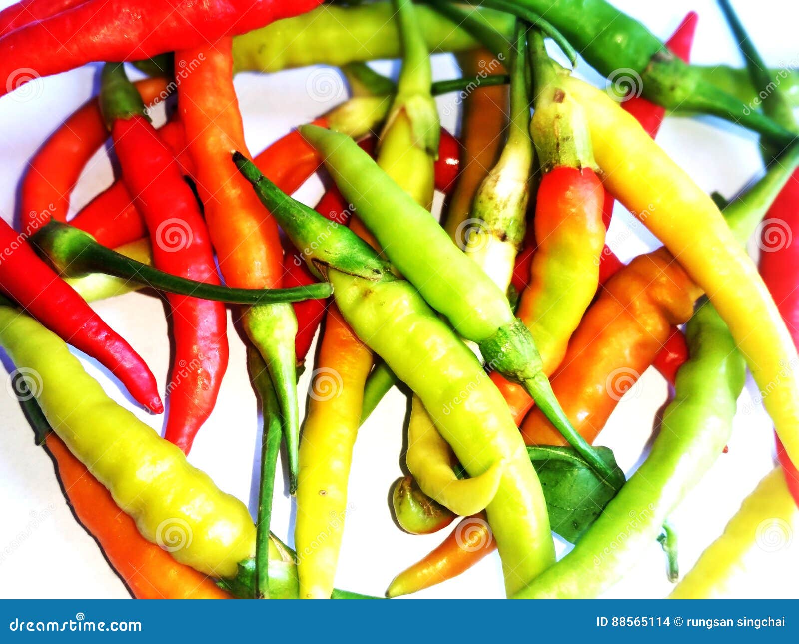 Chilli and White Background Stock Photo - Image of green, ingredient ...