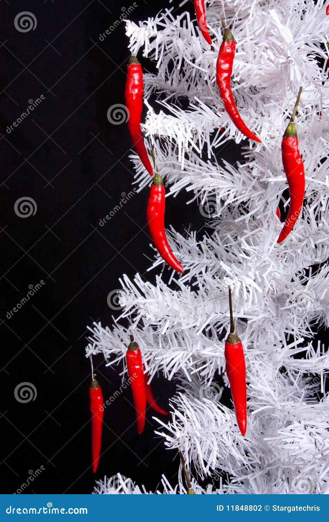 Chilli Xmas Tree stock photo. Image of alternative, decoration - 11848802 Chilli Xmas Tree stock photo. Image of alternative, decoration - 11848802