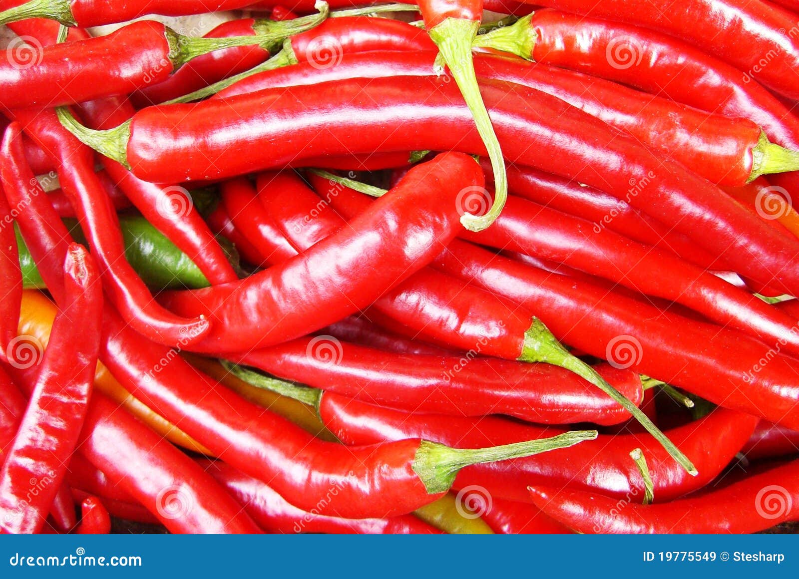 Chillies stock image. Image of pepper, spices, chillies - 19775549
