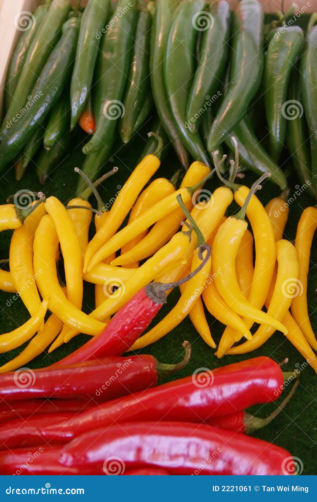 Chillies stock image. Image of flavour, cuisine, food - 2221061