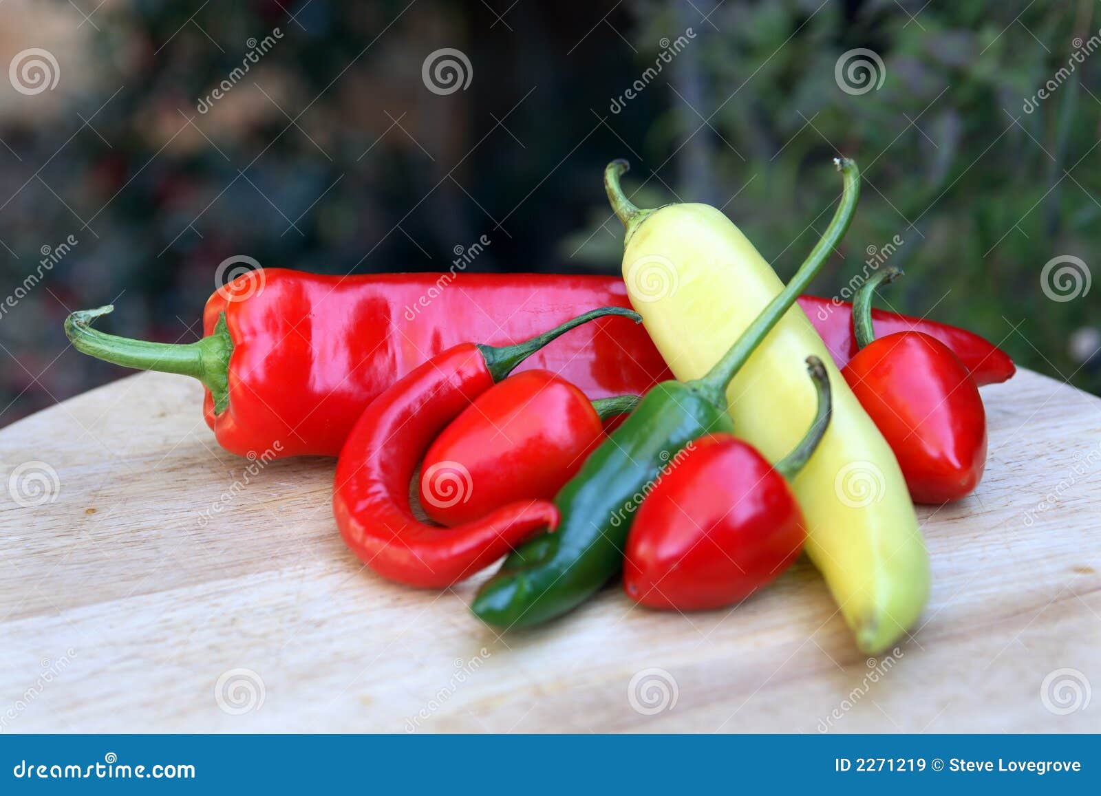 Chillies stock image. Image of still, green, vegetarian - 2271219