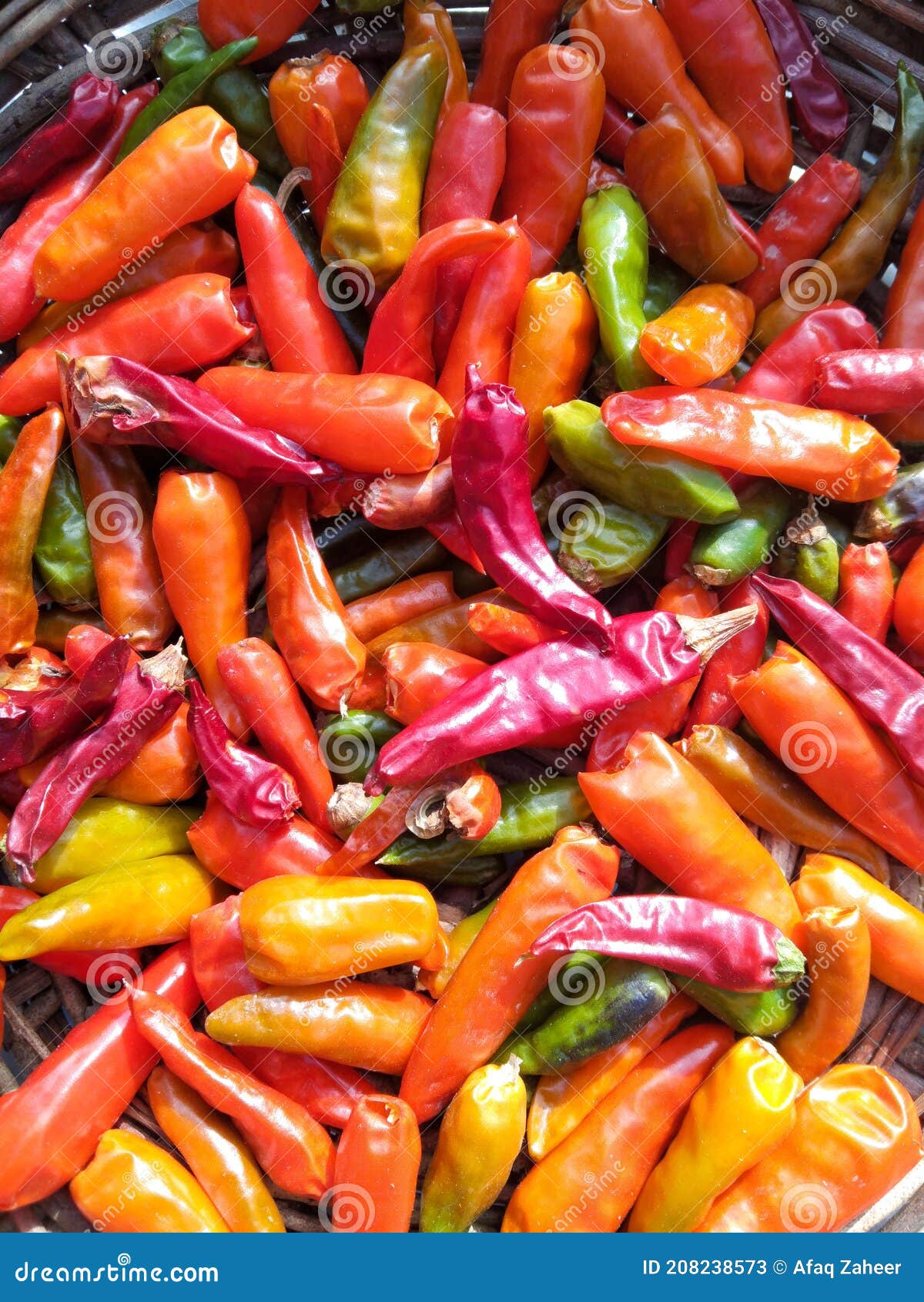 Chillies of Different Colours. Stock Image - Image of food, books ...