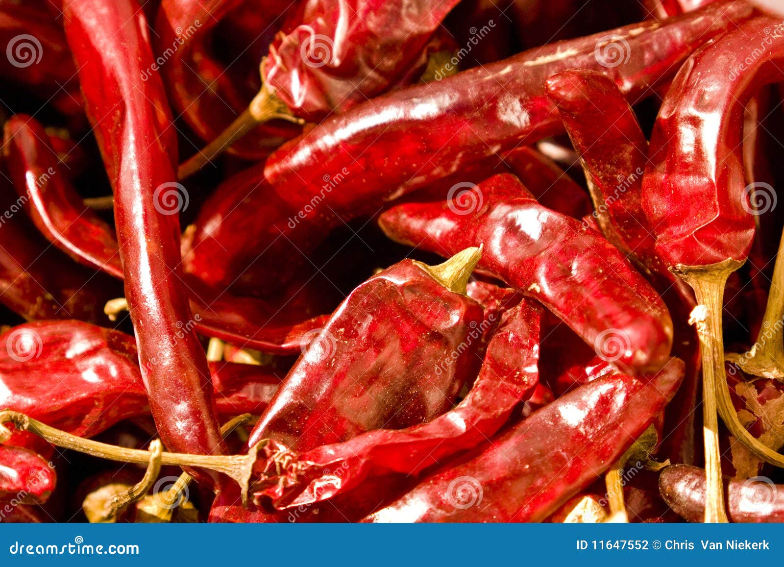 Chillies Dried stock photo. Image of food, chilli, peppers - 11647552
