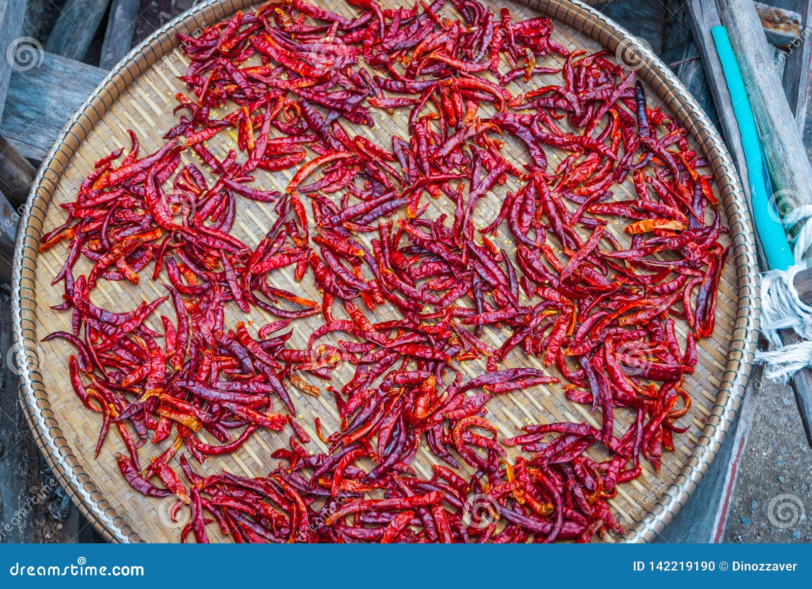 Chillies drying outside stock photo. Image of pepper - 142219190