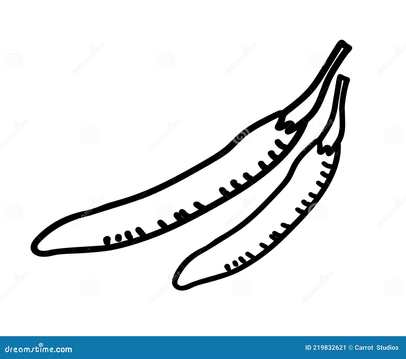 Chillies Hand Drawn Illustartion Stock Vector - Illustration of ...