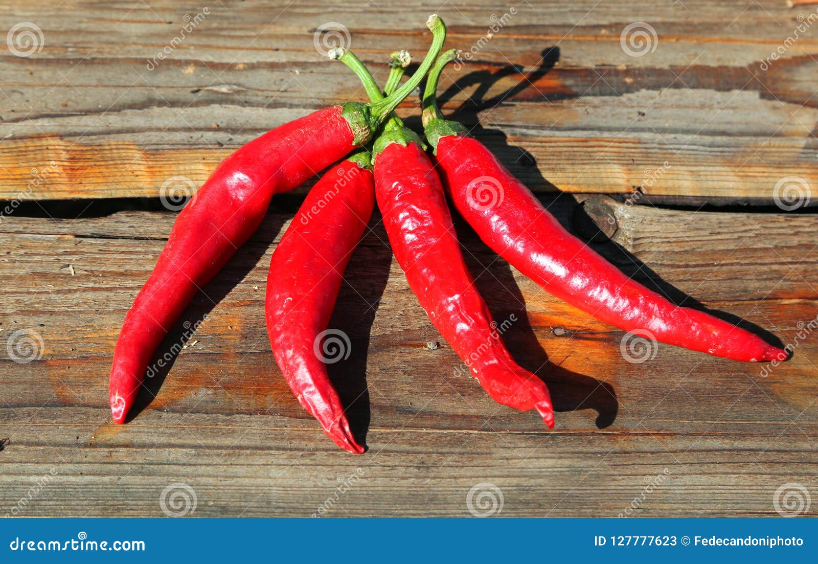 Chillies on a wooden table stock image. Image of mexico - 127777623
