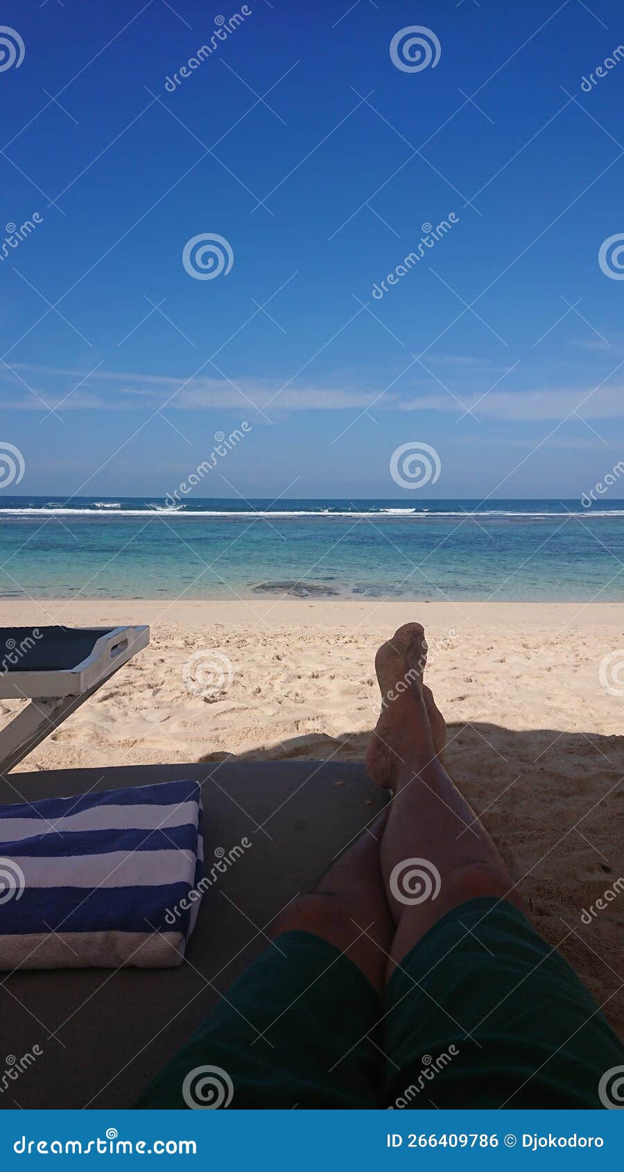 Chillin at the Beach stock photo. Image of tour, tourism - 266409786