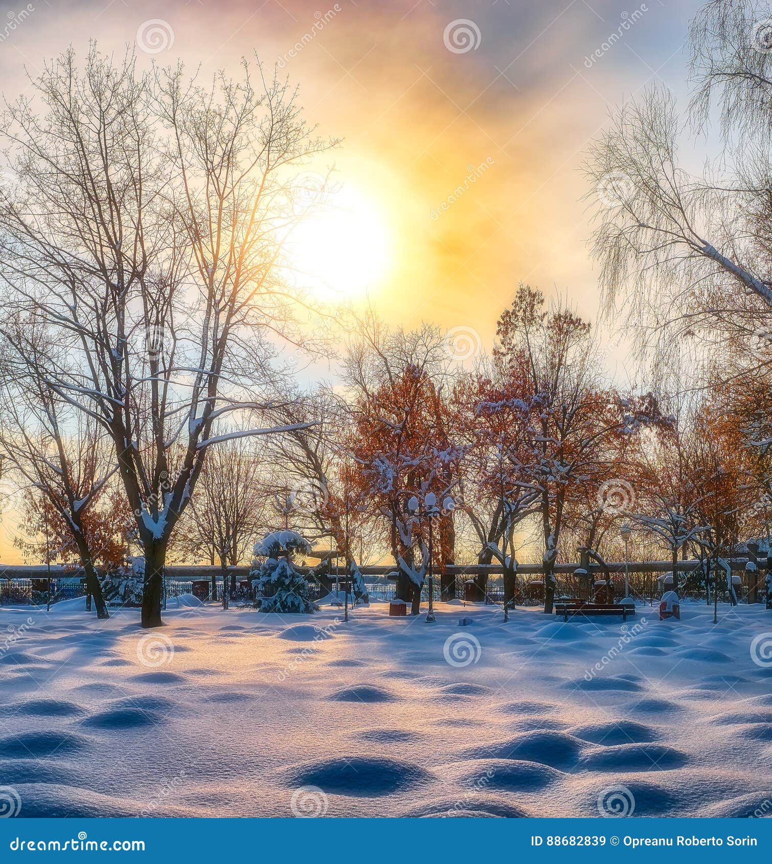 Chilling evening in park stock image. Image of frosty - 88682839