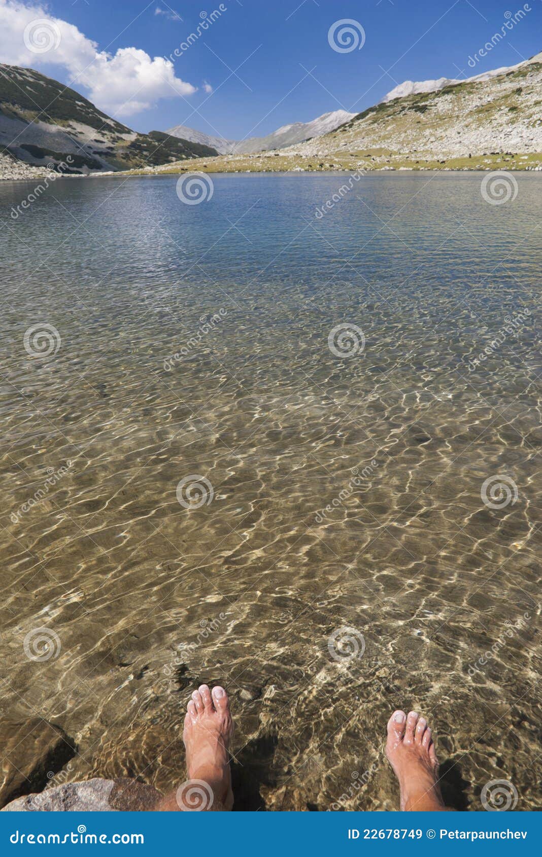 Chilling in the lake stock image. Image of nature, bulgaria - 22678749
