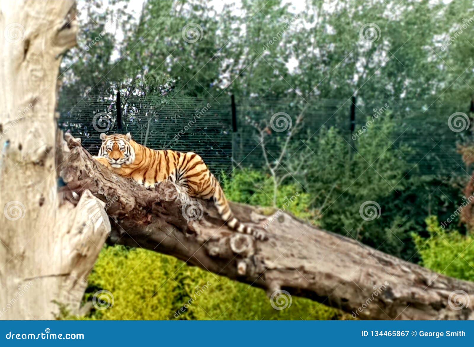 Calm before the storm stock image. Image of storm, nature - 134465867