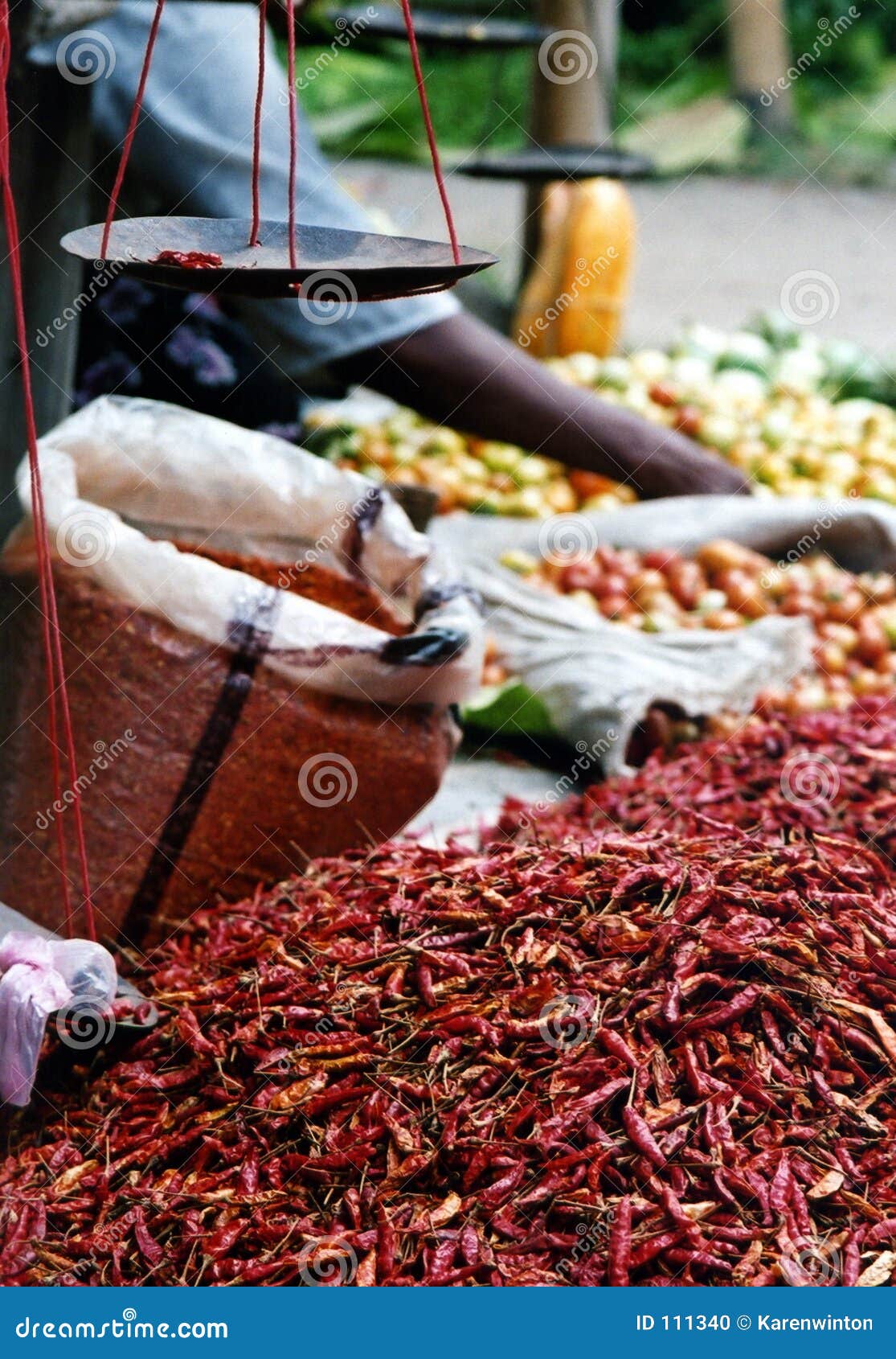 Chillis for sale stock photo. Image of measures, myanmar - 111340