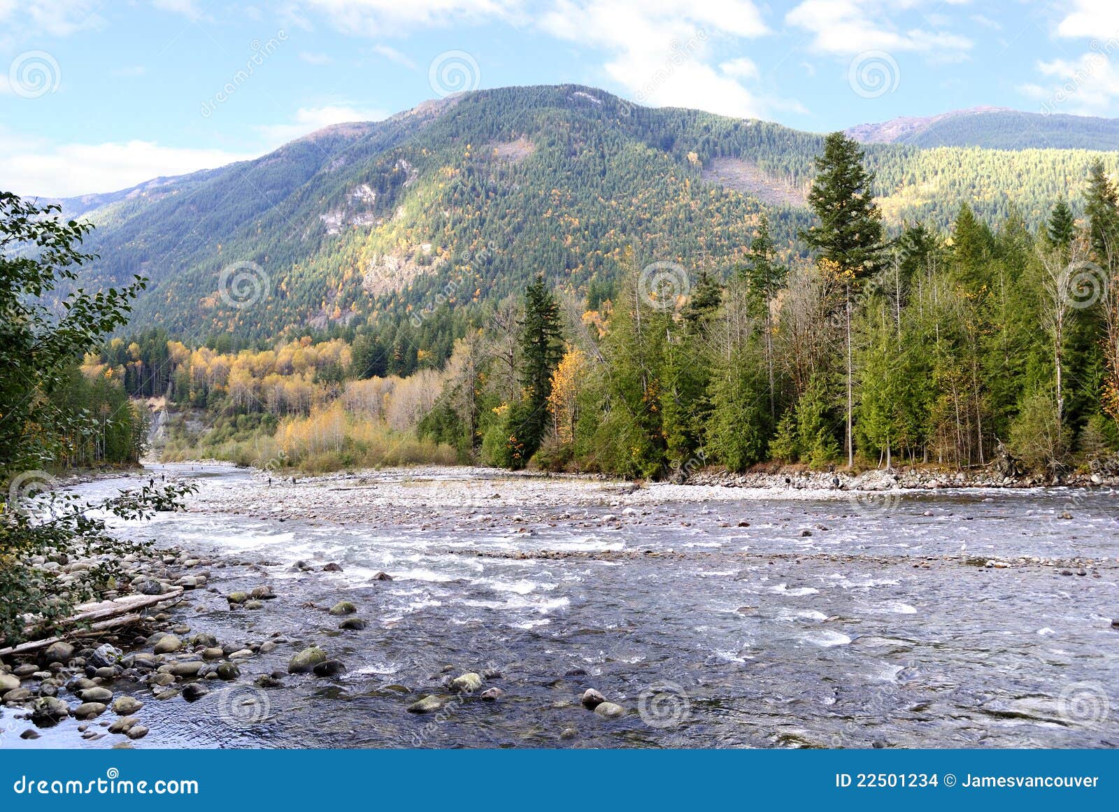 Chilliwack River Autumn View Stock Photo - Image of background ...