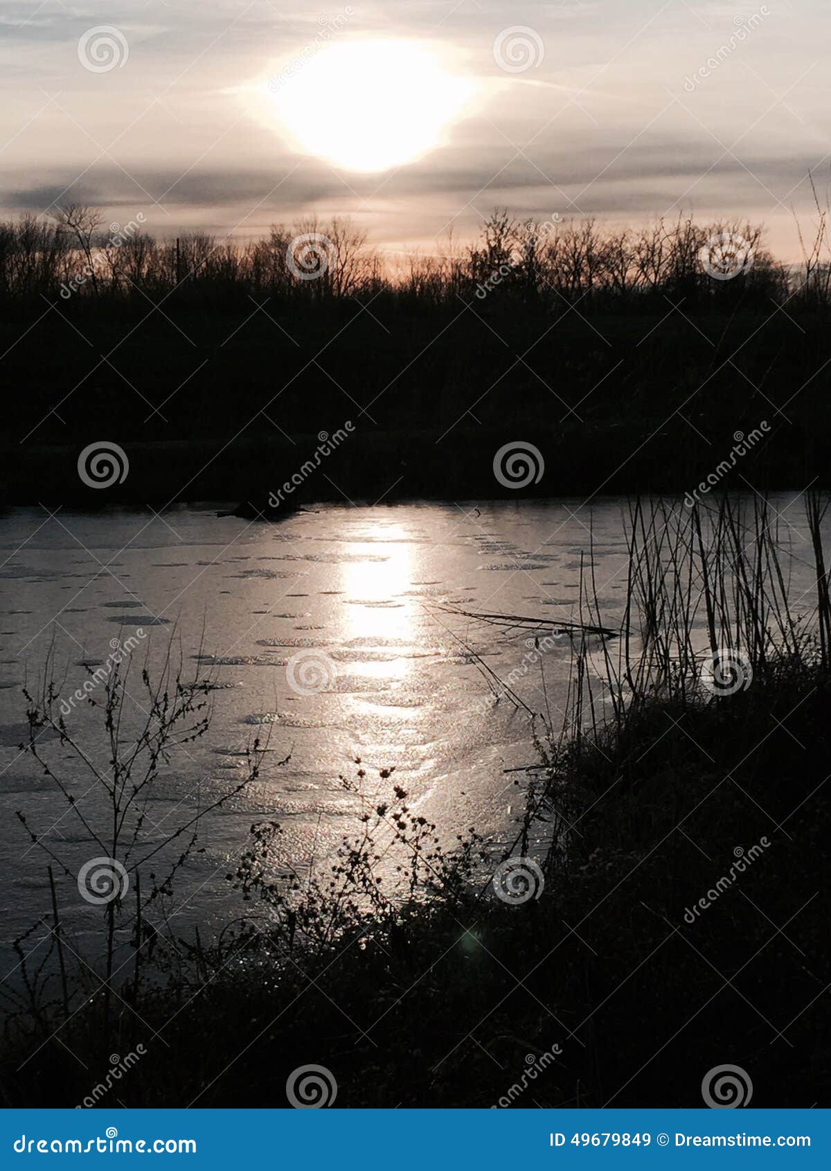 Chilly Dusk stock image. Image of partially, dusk, pond - 49679849
