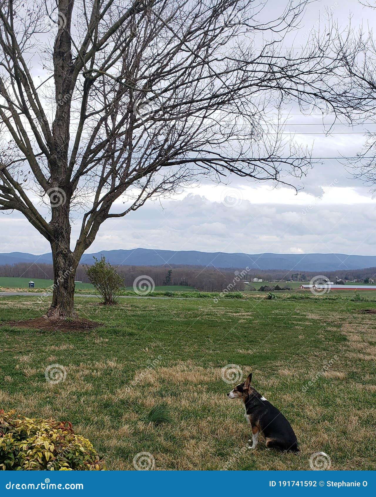 Chilly Evening Out stock photo. Image of farm, evening - 191741592
