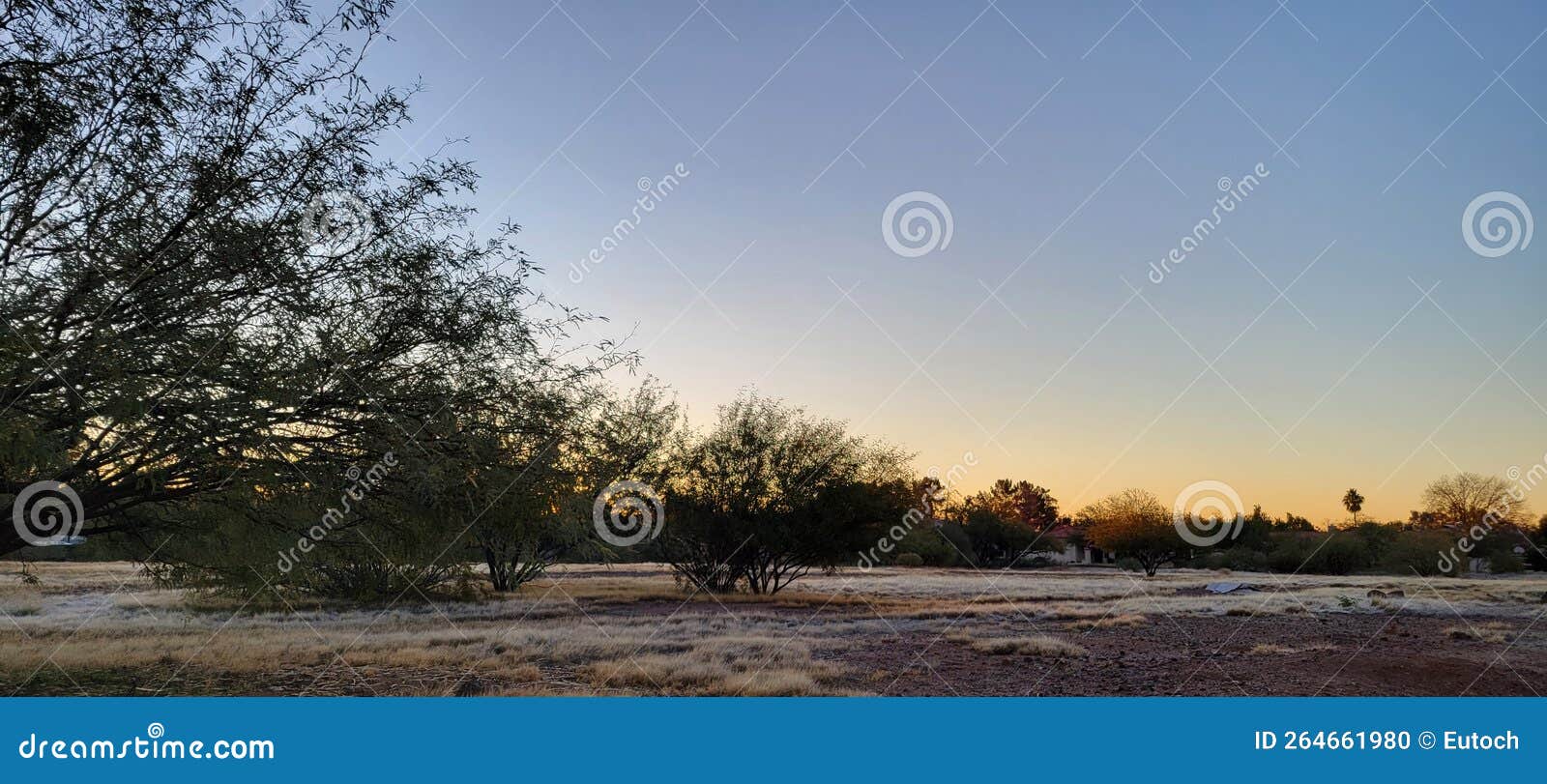 Chilly and Frosty Morning in Phoenix, AZ Stock Photo - Image of grass ...