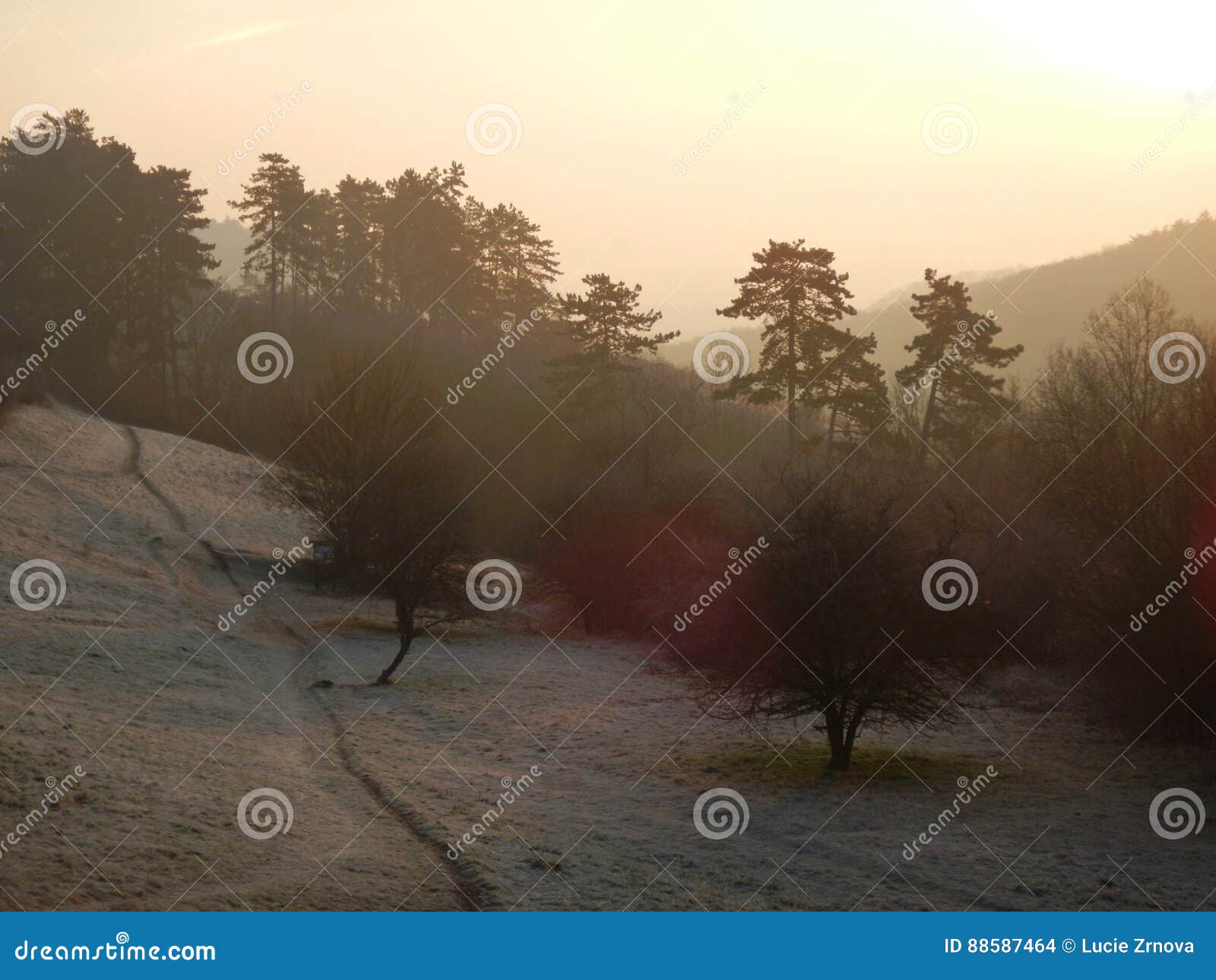 Chilly Morning in an Autumn Nature Stock Photo - Image of meadow ...