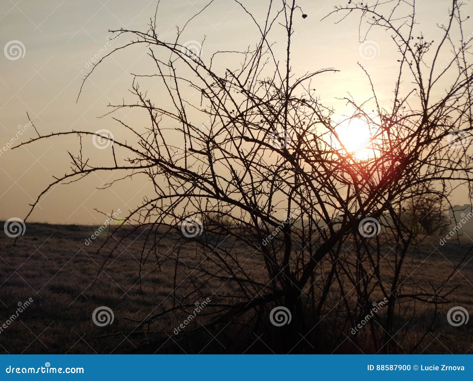 Chilly Morning in an Autumn Nature Stock Photo - Image of beautiful ...