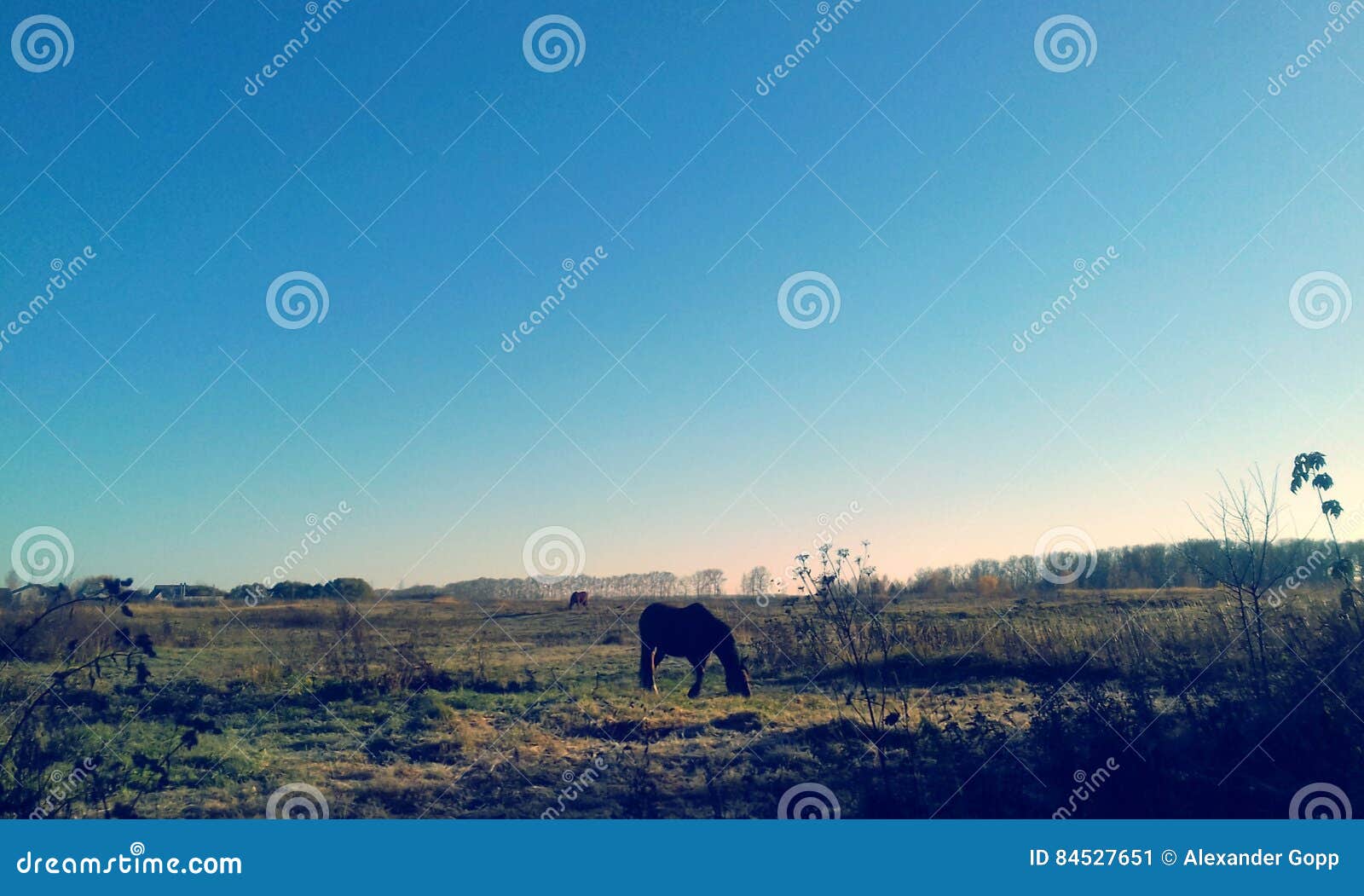 Chilly morning stock image. Image of chilly, landscape - 84527651