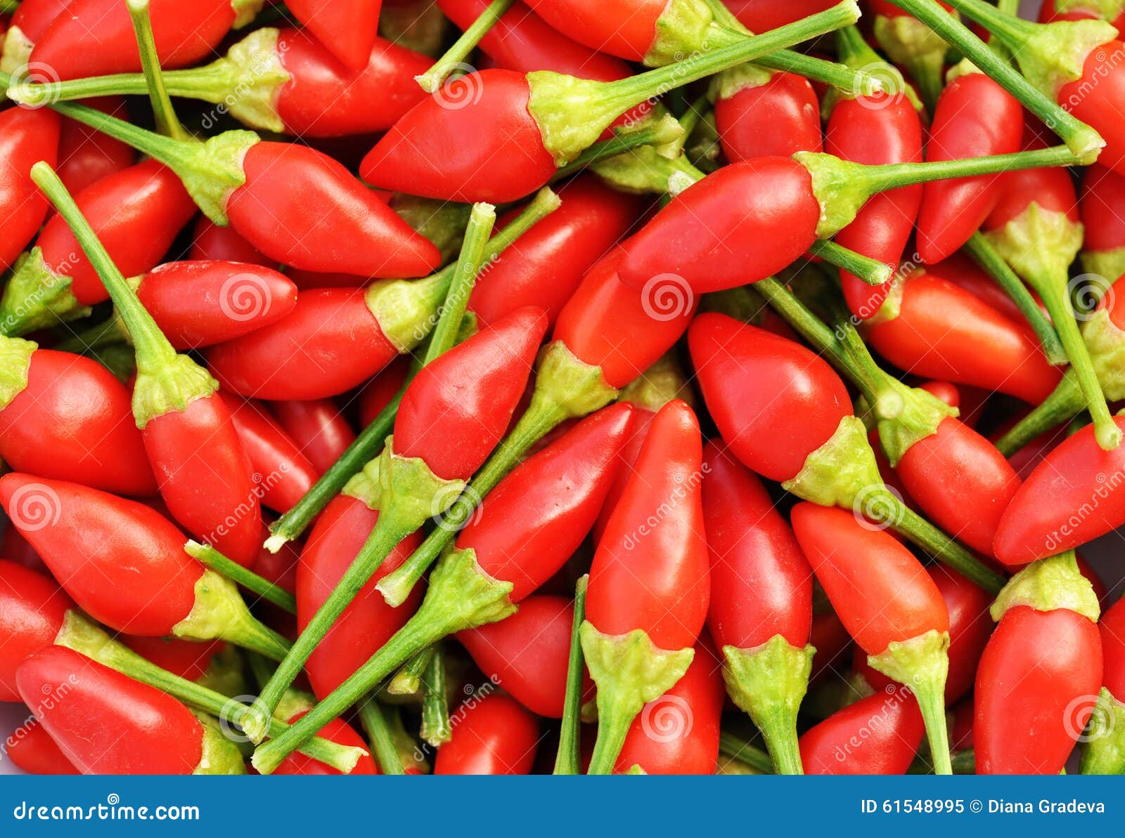 Chilly Peppers Background stock image. Image of seasoning - 61548995