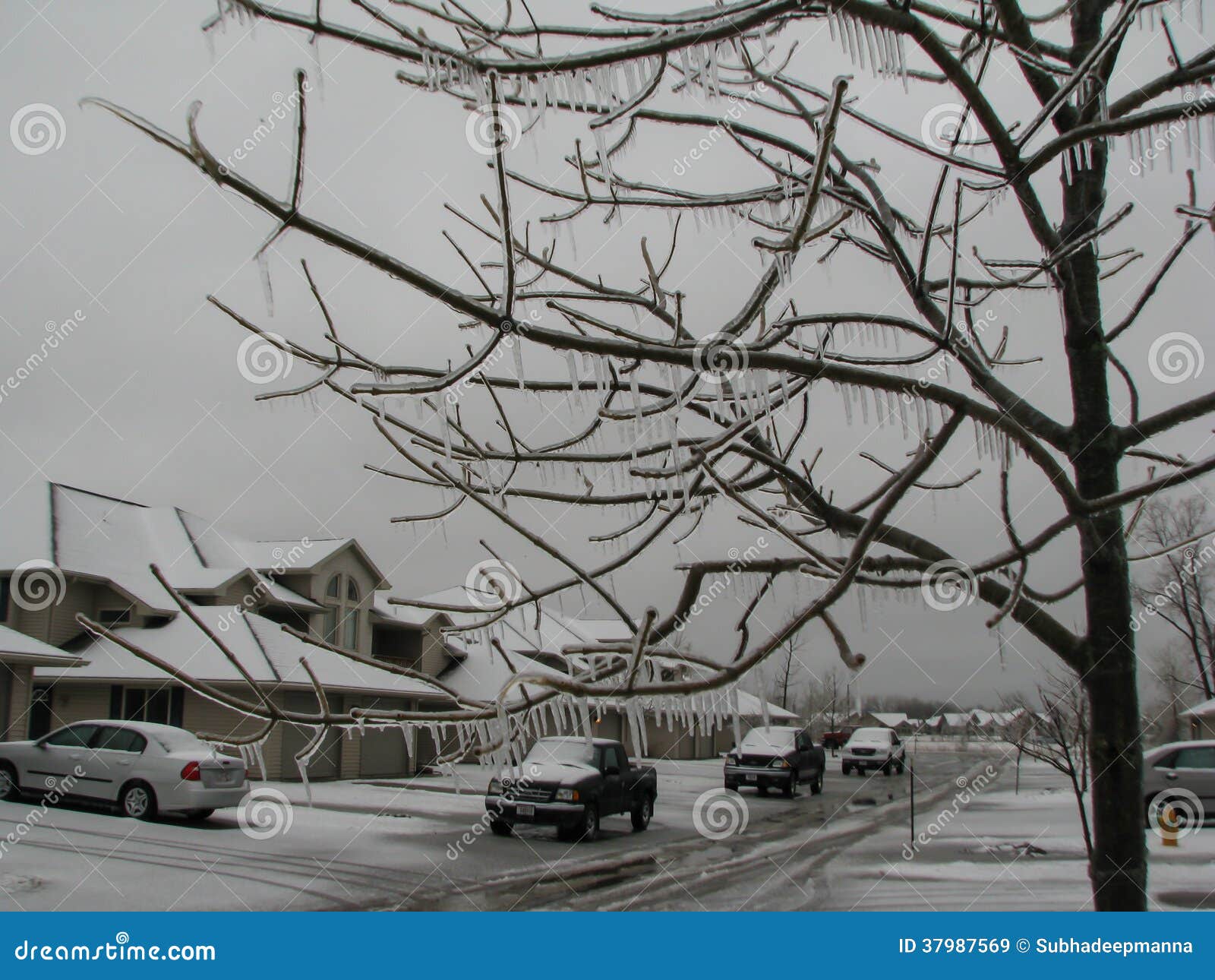 Chilly weather in the US editorial stock image. Image of freeze - 37987569