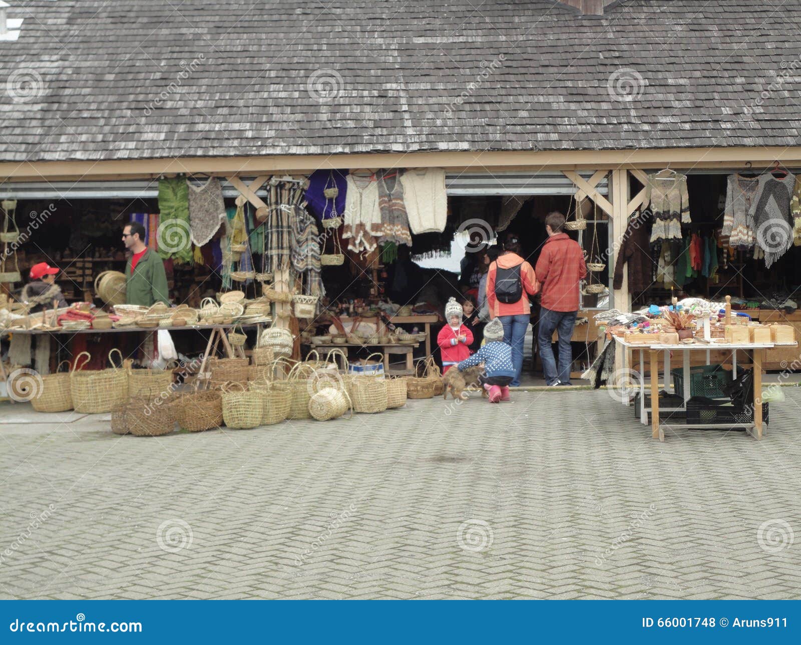 Chiloe Chile editorial stock photo. Image of black, eating - 66001748