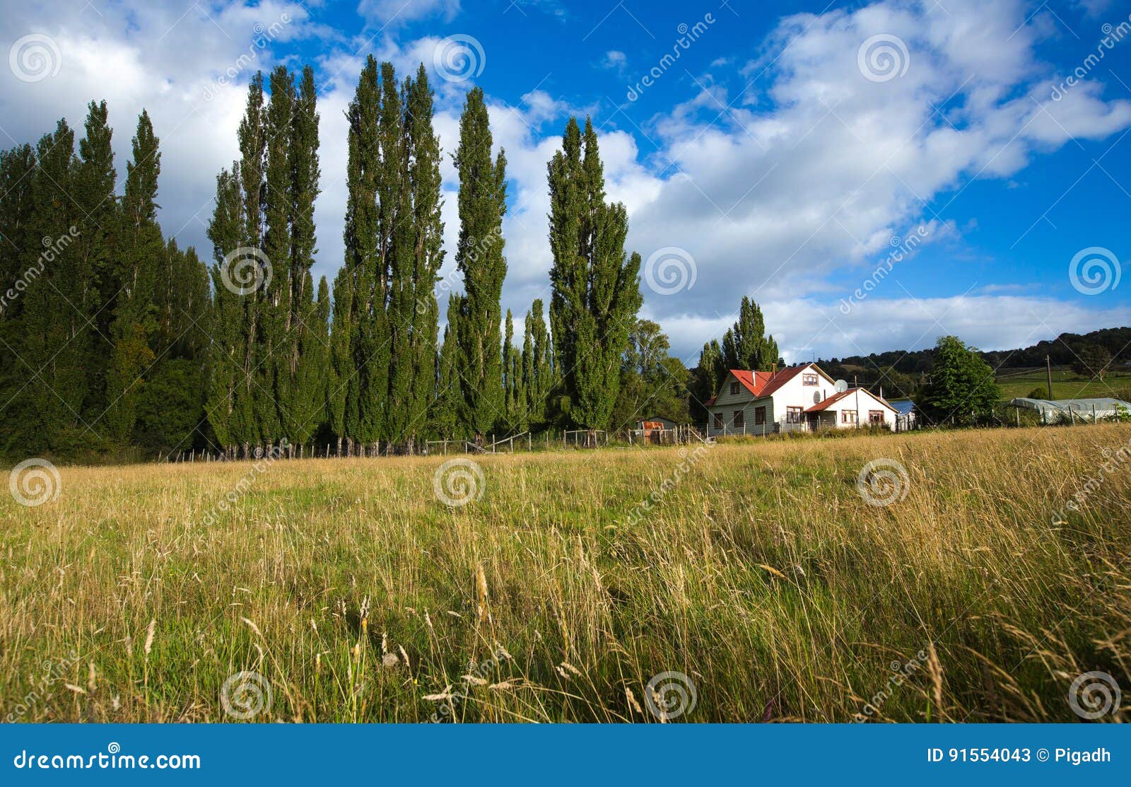 Chiloe Island stock image. Image of biome, ecosystem - 91554043
