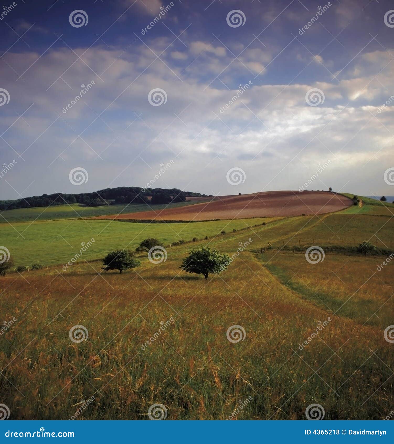 Chilterns stock photo. Image of path, countryside, nature - 4365218