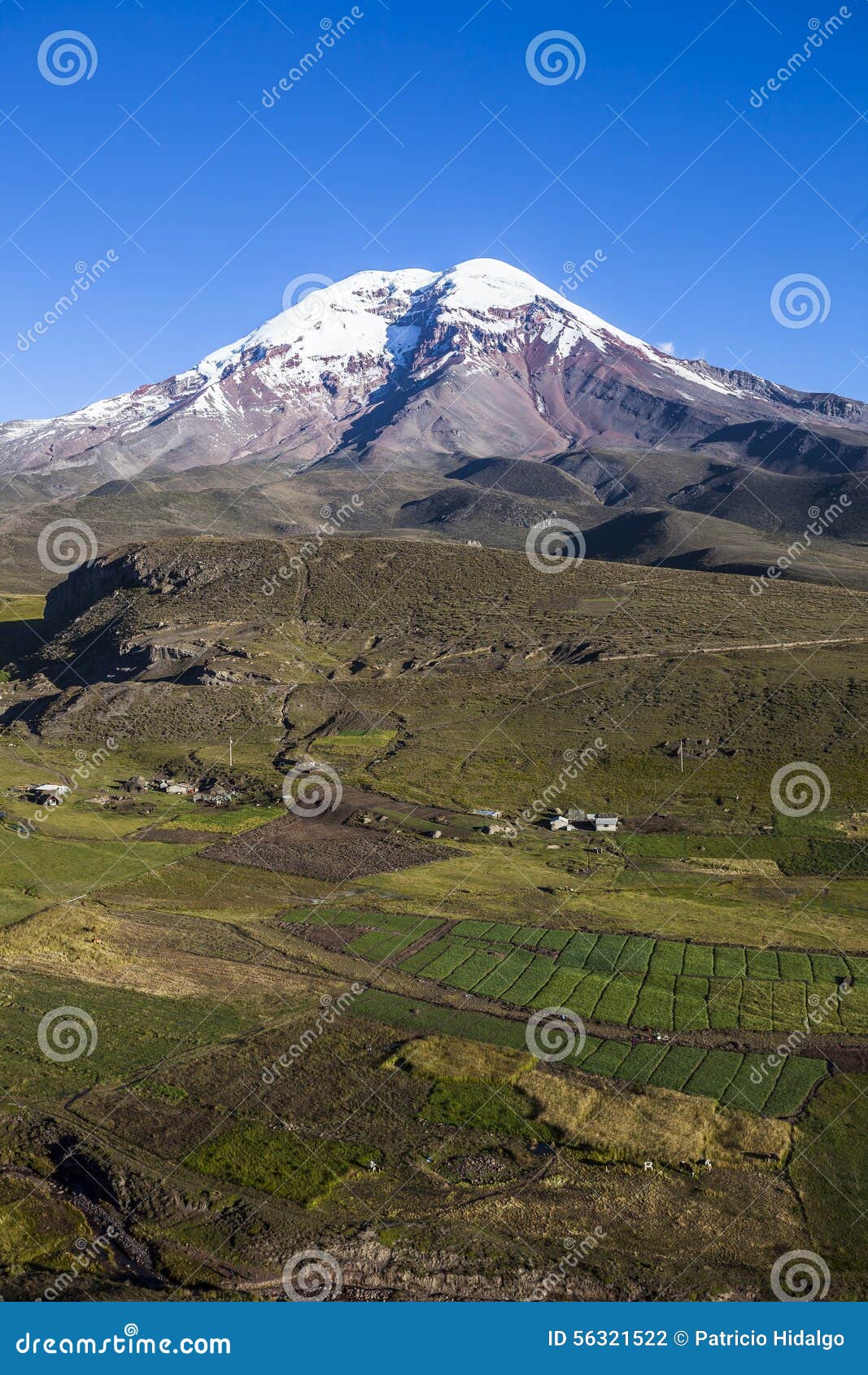 Chimborazo Volcano and Paramo Stock Photo - Image of majestic, park ...