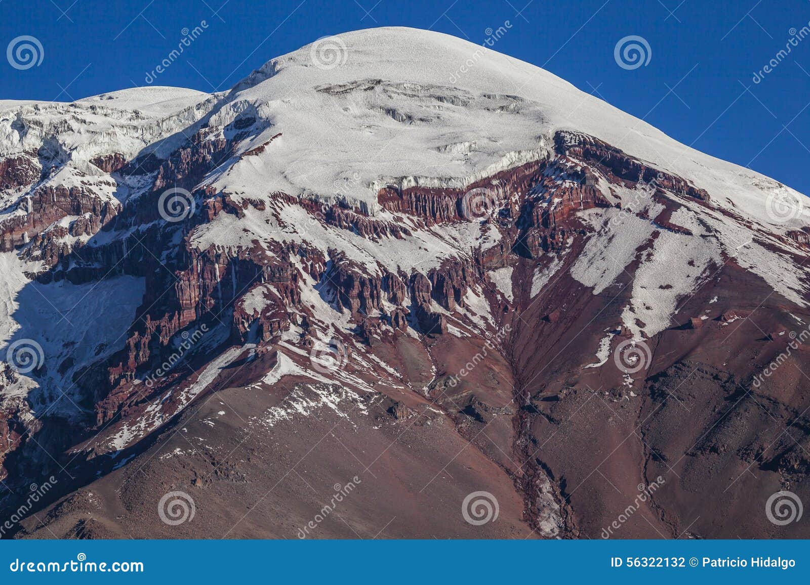 Chimborazo Volcano and Paramo Stock Photo - Image of america, snowdrop ...