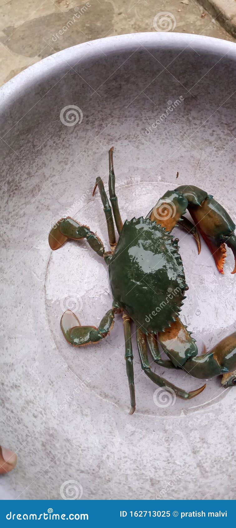 Chimbori stock image. Image of testy, khekda, chimbori - 162713025