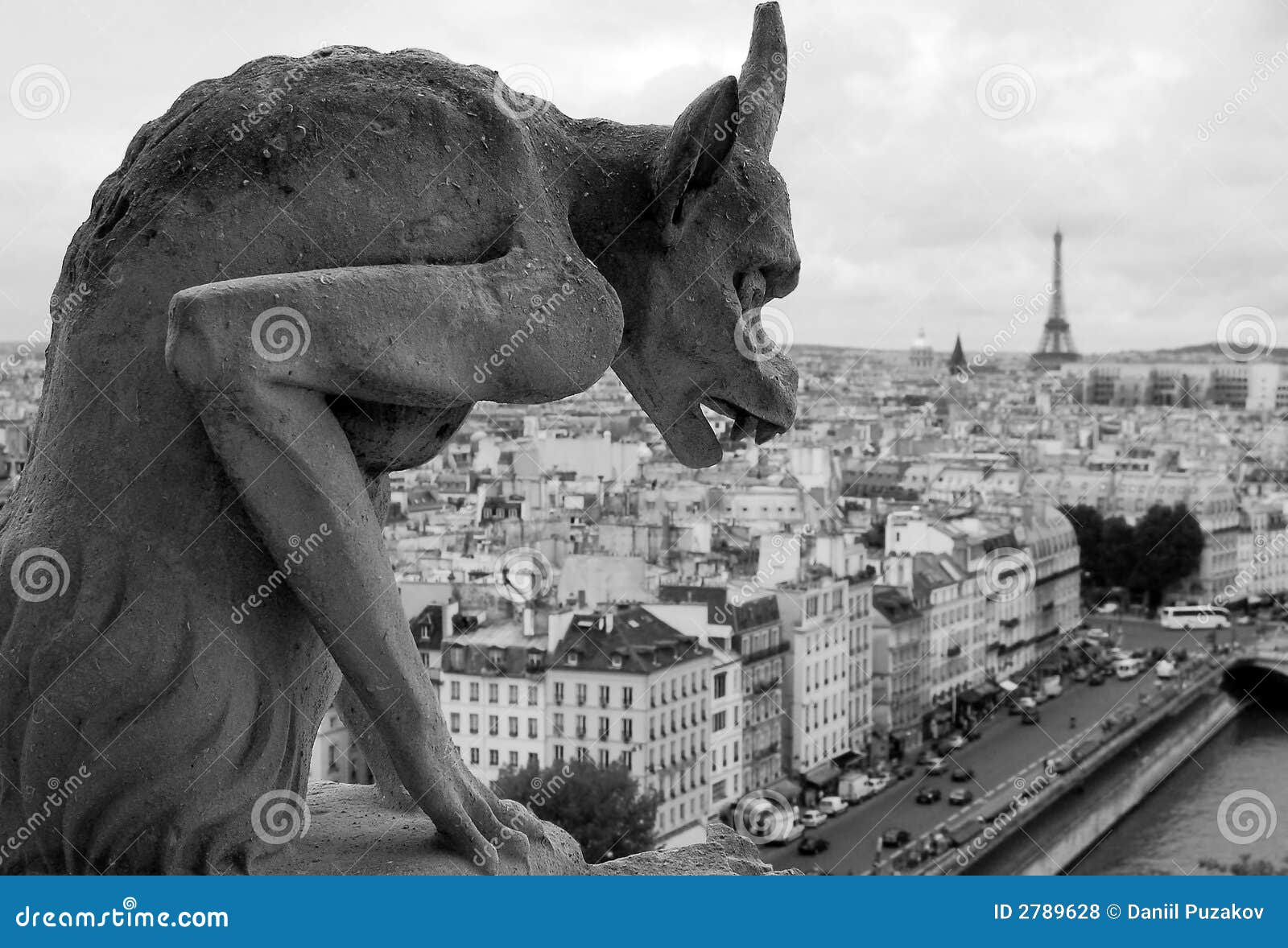 Chimere stock photo. Image of catholicism, michael, hunchback - 2789628