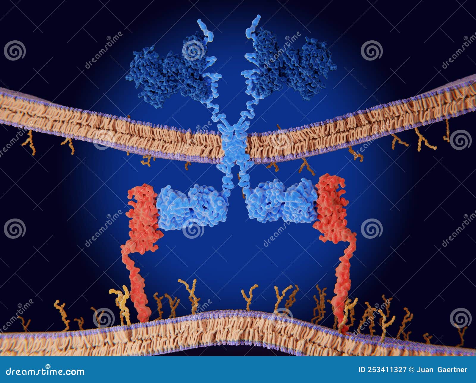 Chimeric Antigen Receptor CAR Therapy: Engineered Receptor Binds To ... Chimeric Antigen Receptor CAR Therapy: Engineered Receptor Binds To ...