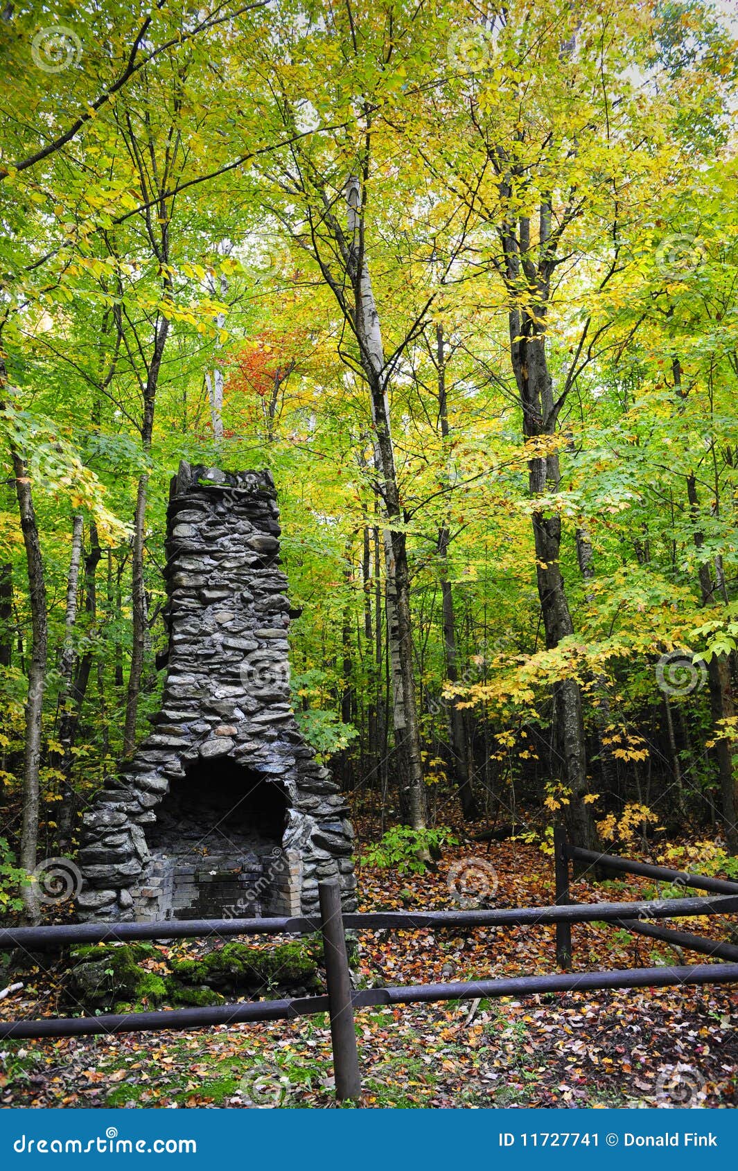 Chimney in the forest stock image. Image of trees, colorful - 11727741