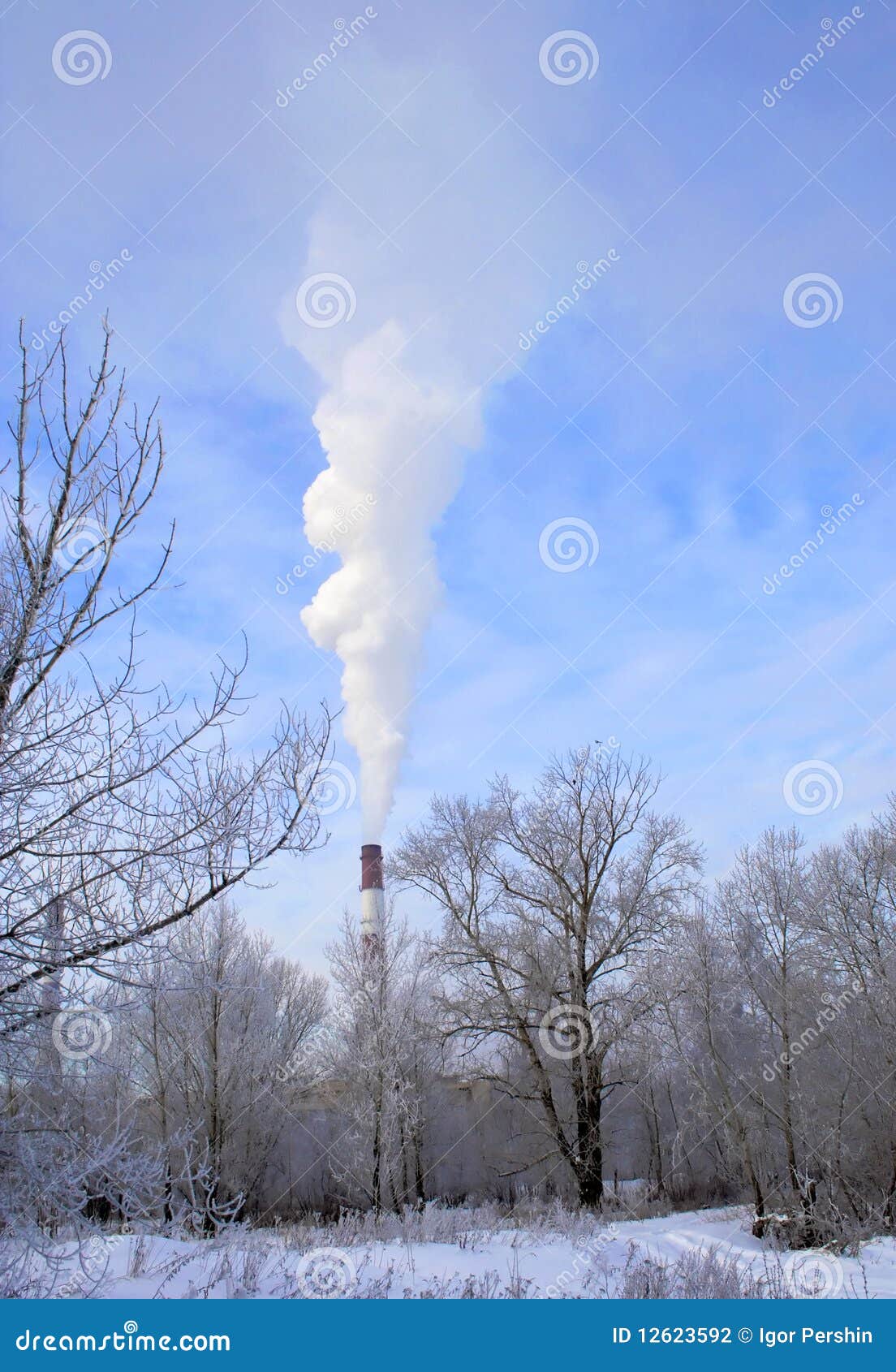 Chimney smoke in forest stock photo. Image of rural, landscape - 12623592