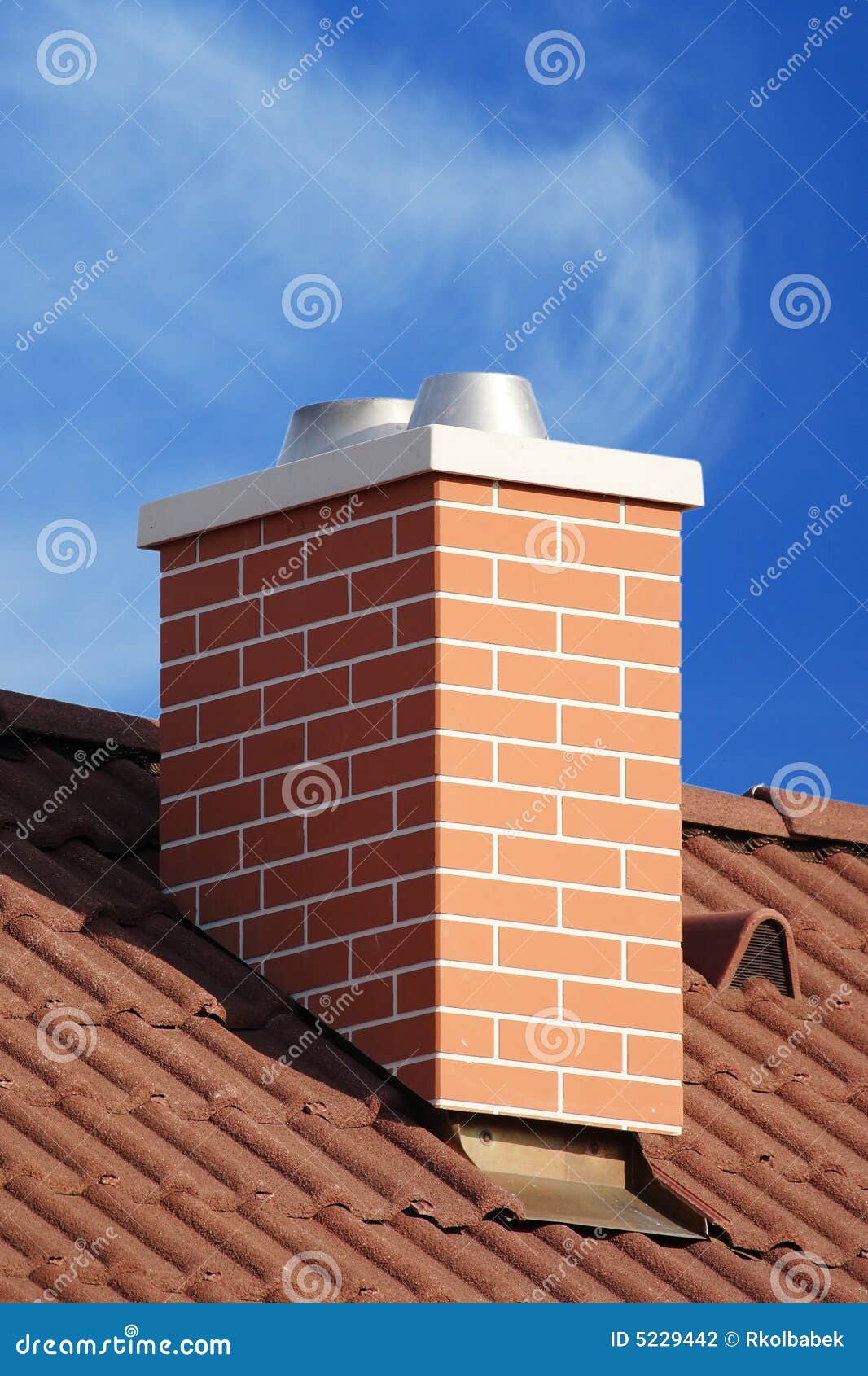 Chimney Stack. Urban Housing Estate House Roof Tops With Pigeon ...