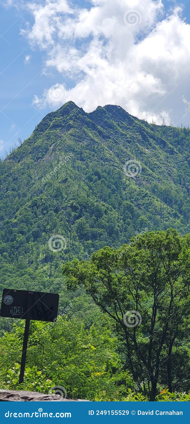 Chimney top mountain stock image. Image of chimney, green - 249155529