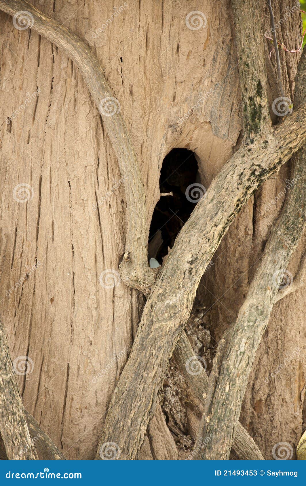 Chimney Tree stock image. Image of chimney, idea, concept - 21493453