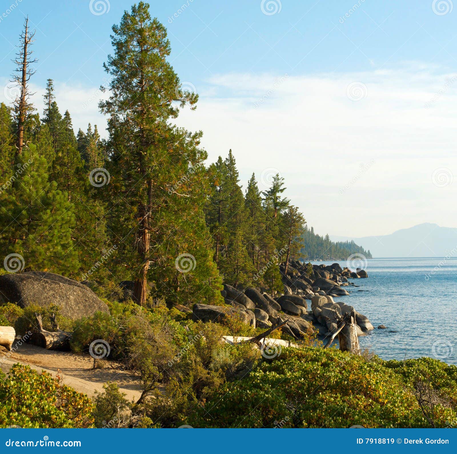 Chimney Trees stock image. Image of boulders, chimney - 7918819