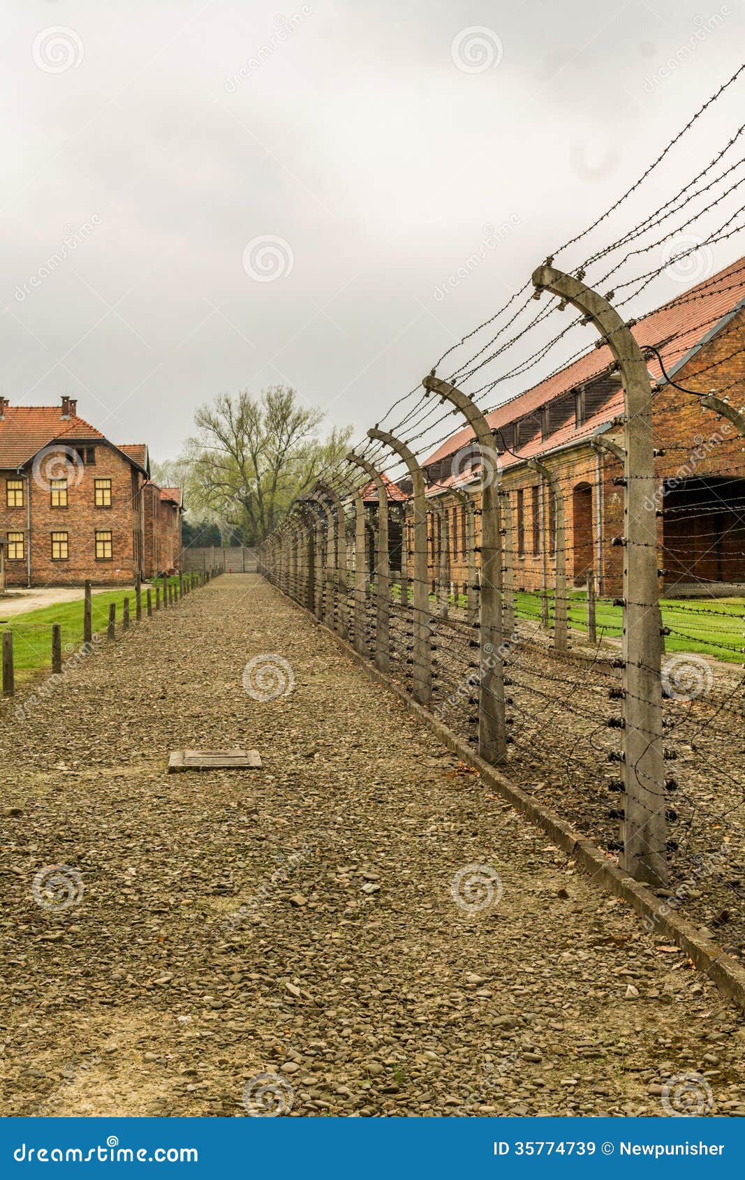 Chimneys of Auschwitz editorial stock image. Image of outdoor - 35774739