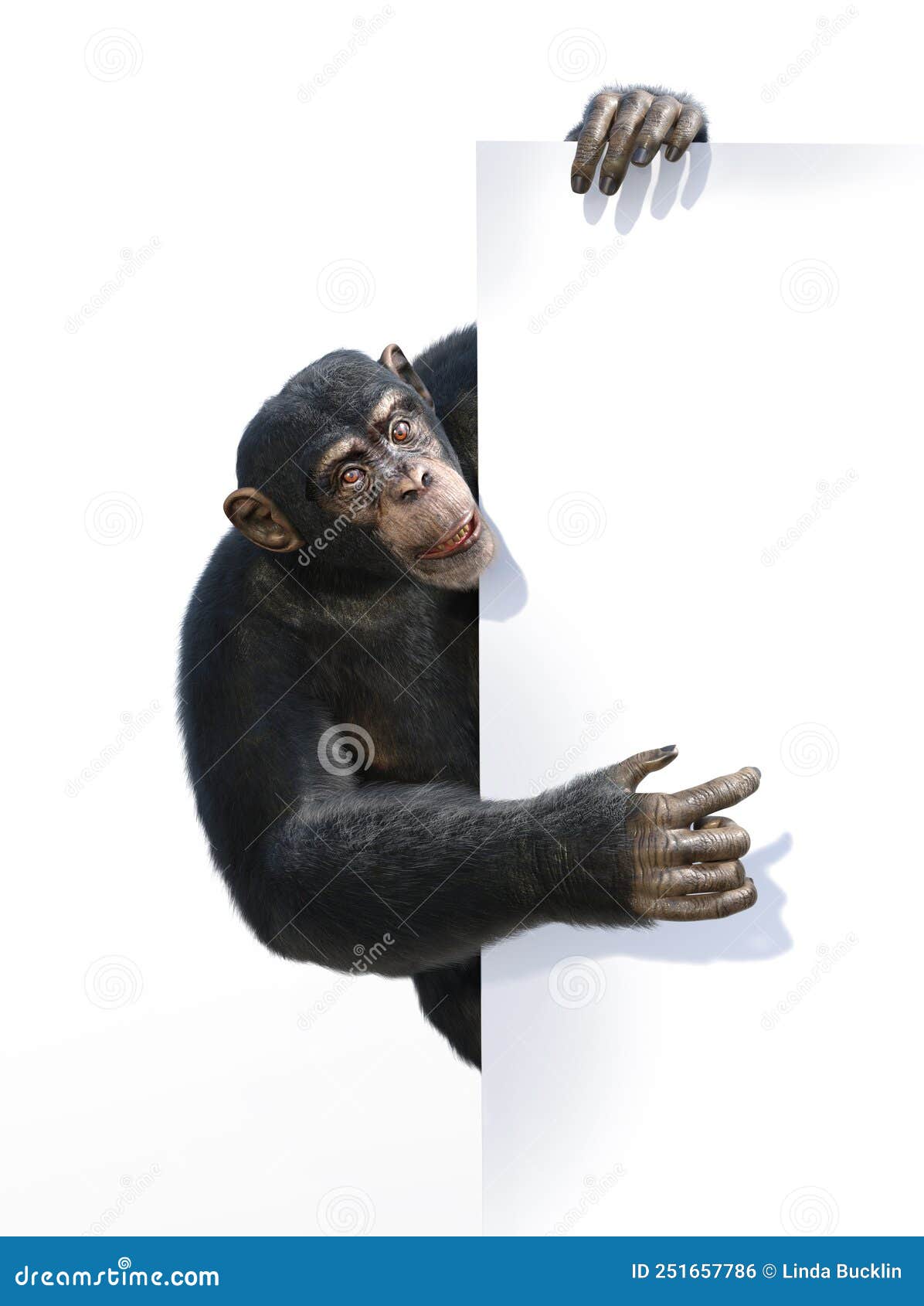 Chimp on Edge of Document stock illustration. Illustration of pointing ...