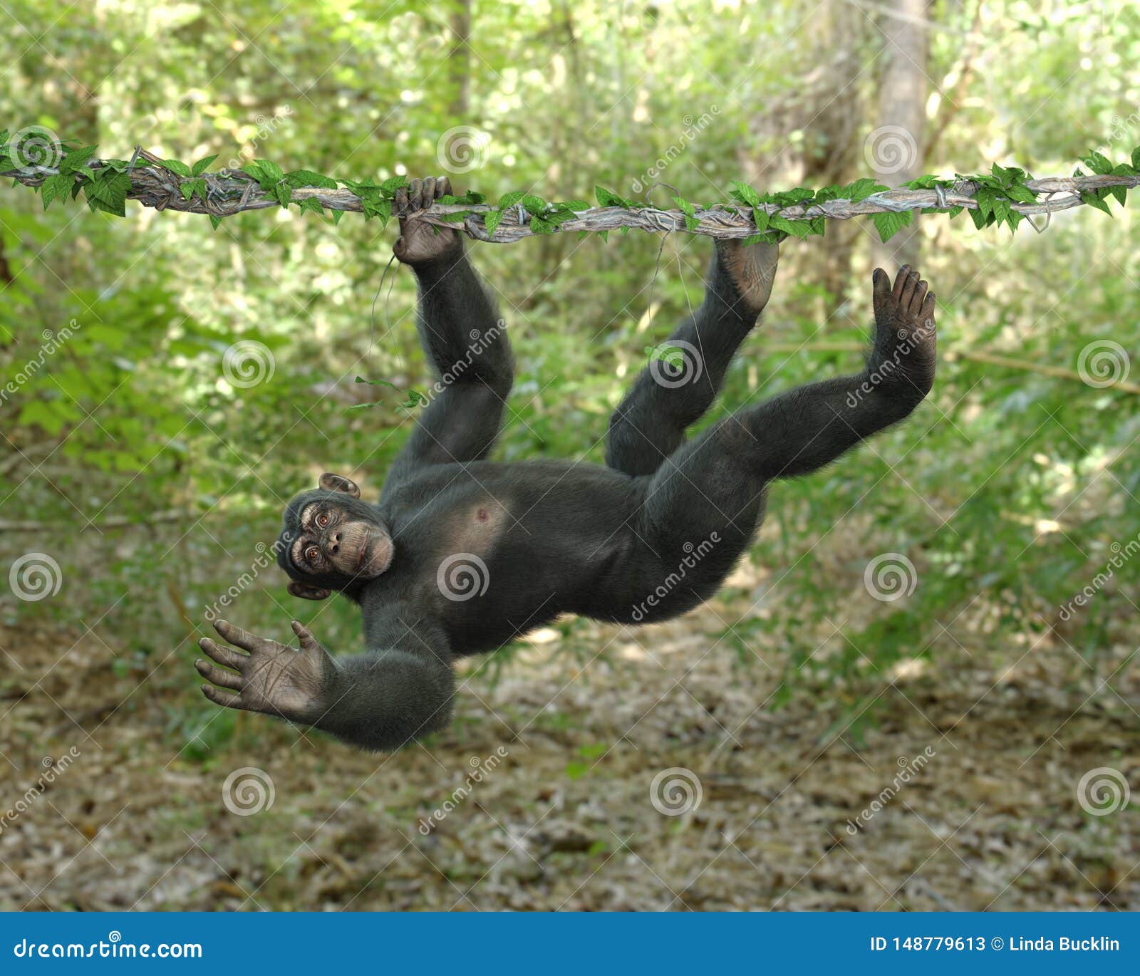 Chimp Hanging on a Vine stock illustration. Illustration of vine ...