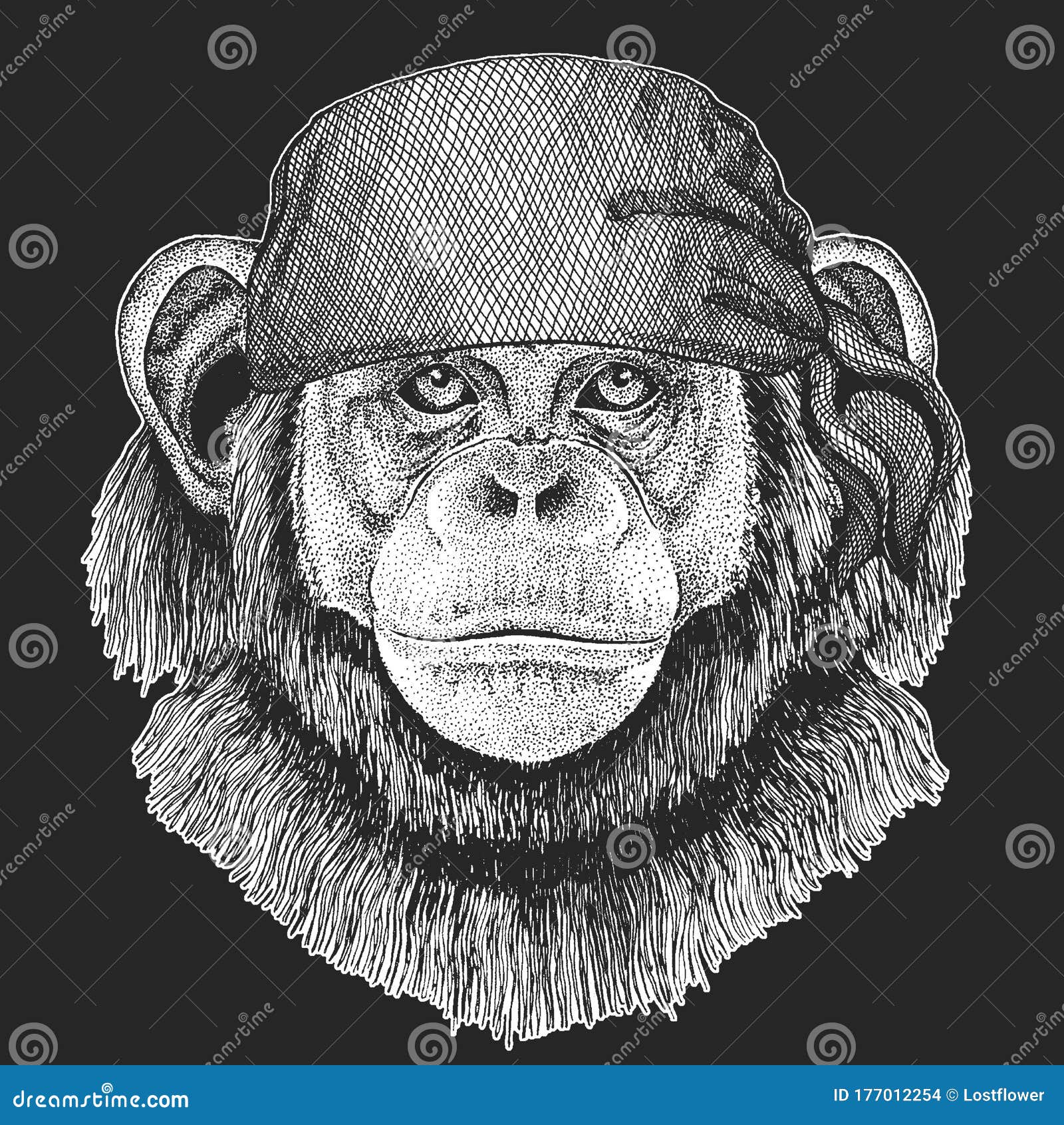 Chimpanzee, Portrait. Monkey Face. Ape Head. Stock Vector ...