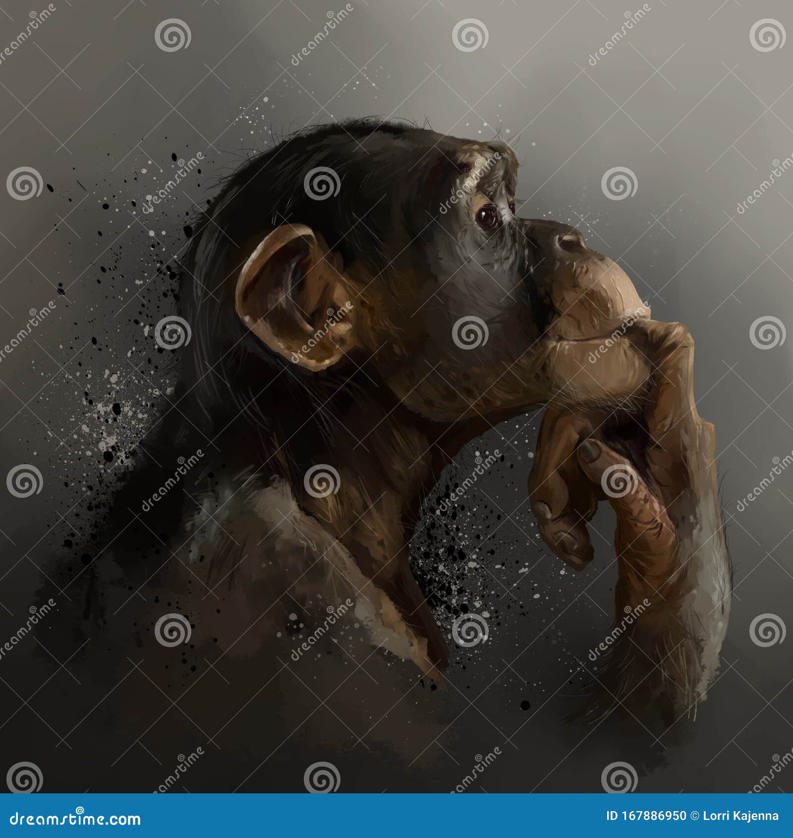 Head Of A Dark Jackal - Guardian Of The Scales On The Trial Osiris In ...